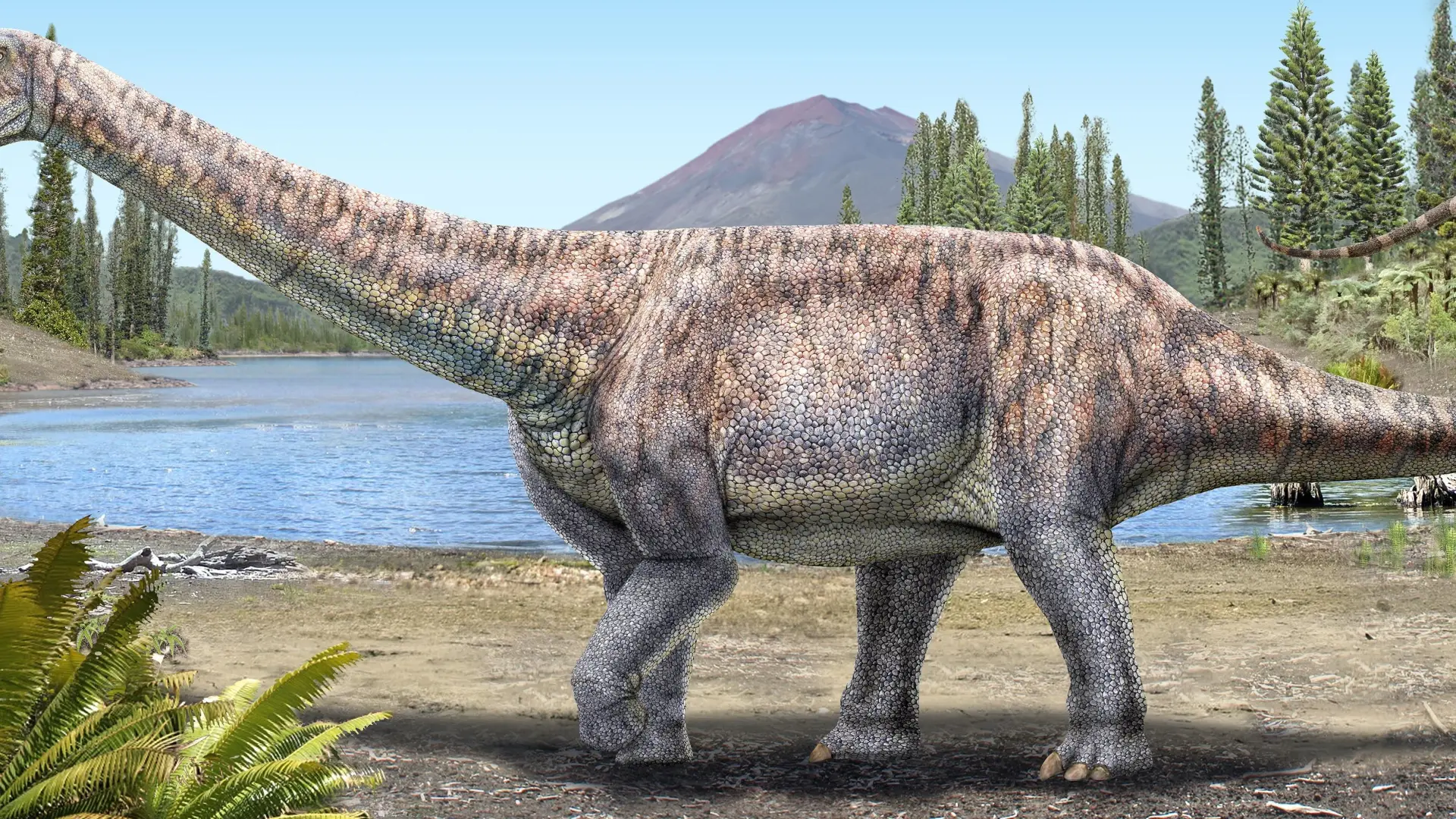 El 'Arackar licanantay': la nueva especie de dinosaurio que Chile ha ...