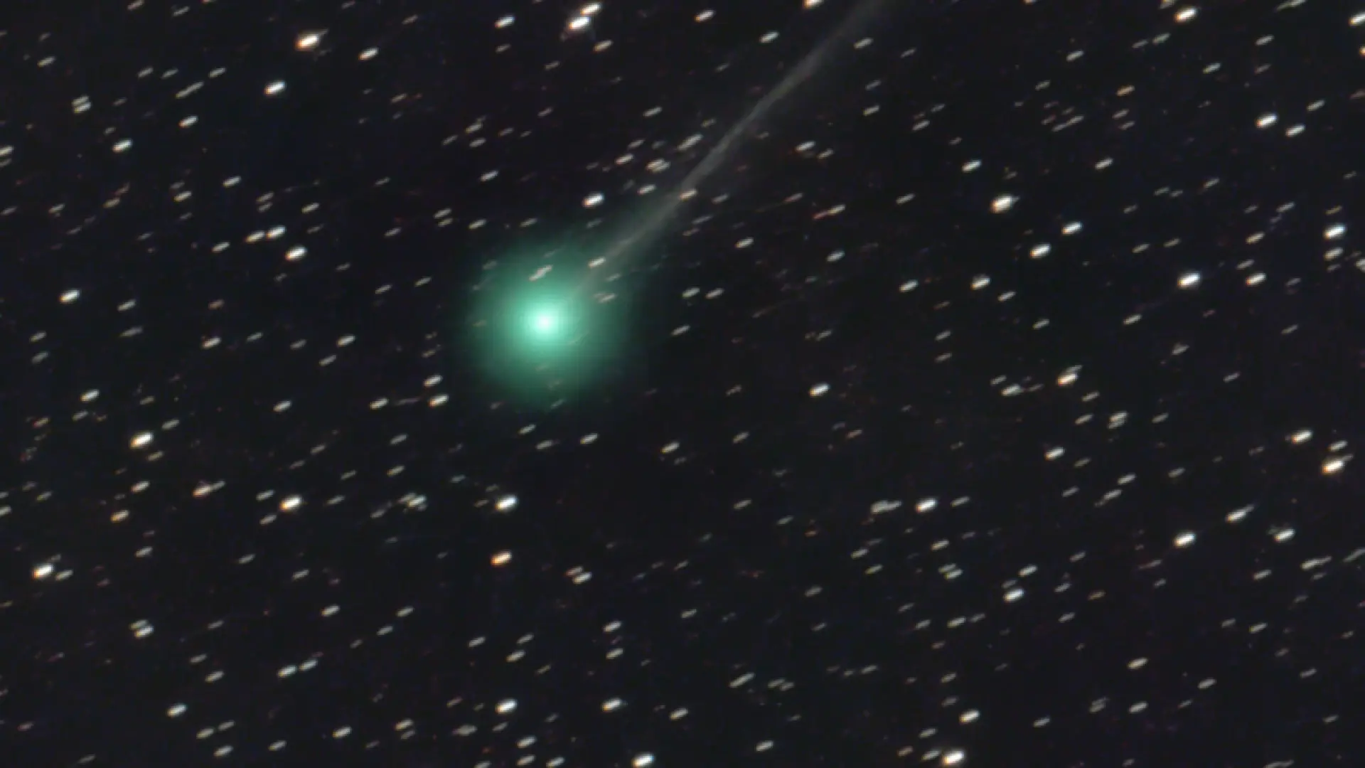 El raro cometa recién descubierto que es visible este fin de semana