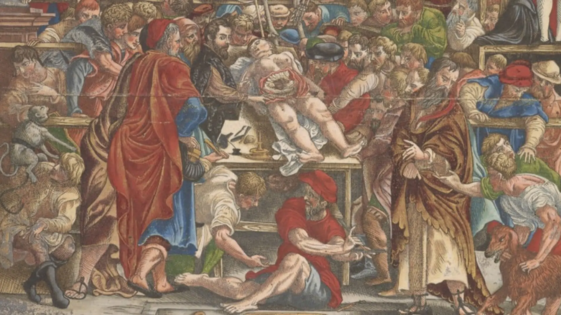 Fotos: Fotos: La anatomía de Vesalio | Imágenes | Imágenes