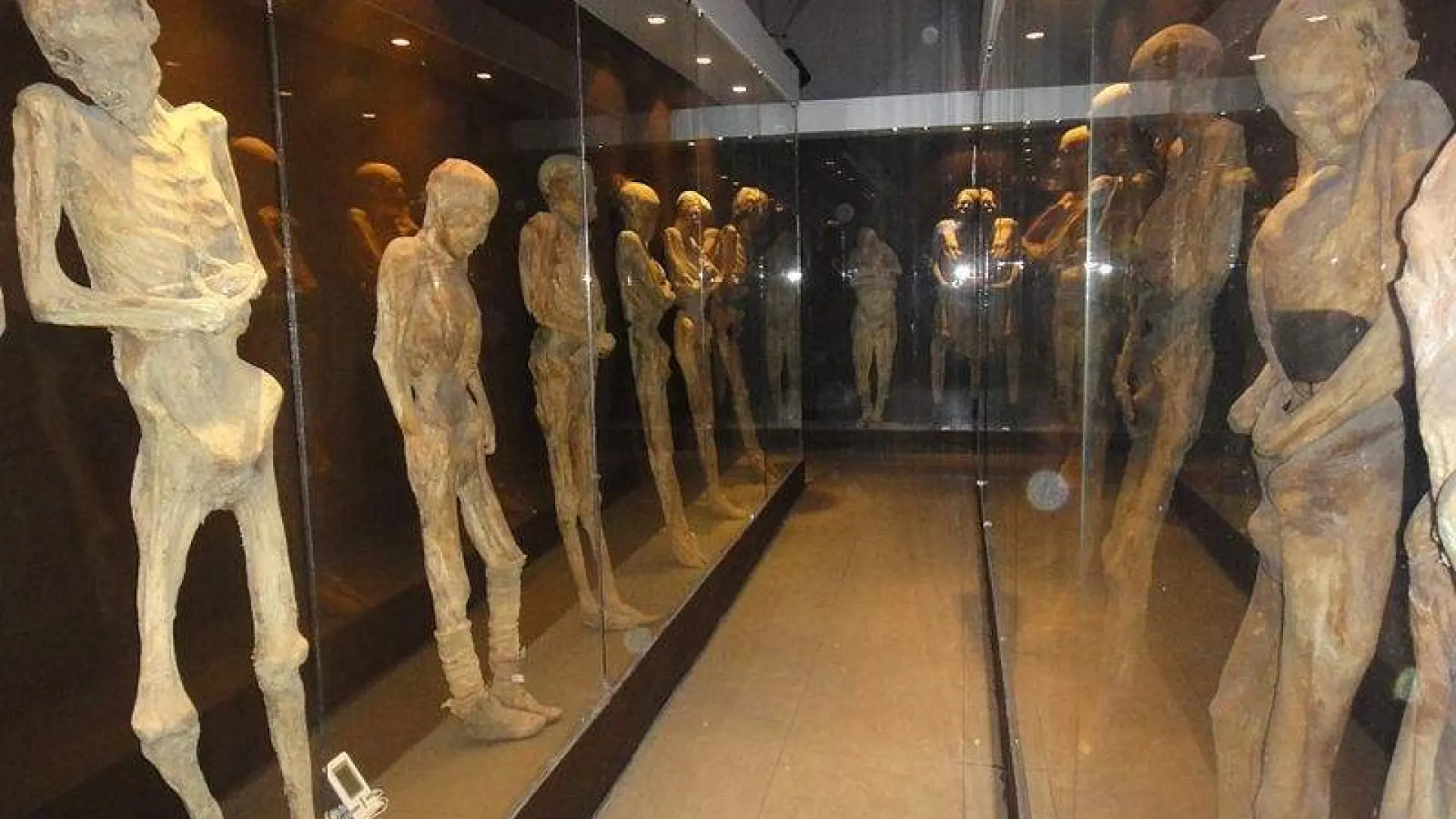 Fotos: Fotos: 13 de los museos más raros del mundo | Imágenes | Imágenes