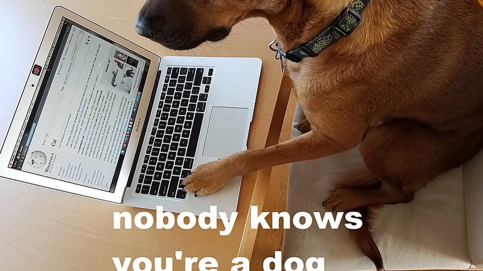 Las mejores páginas de memes y humor de la red