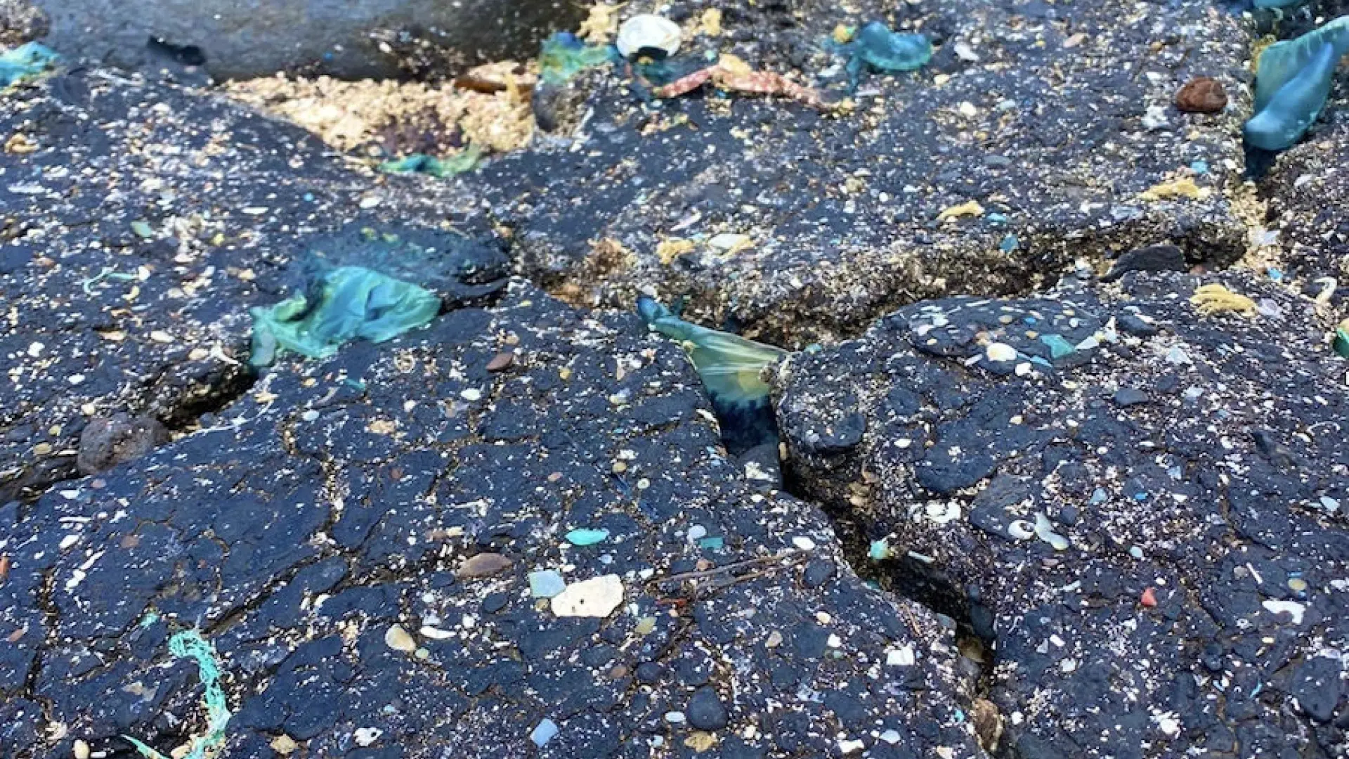 Detectan el 'Plastitar', un nuevo tipo de contaminación en las costas ...