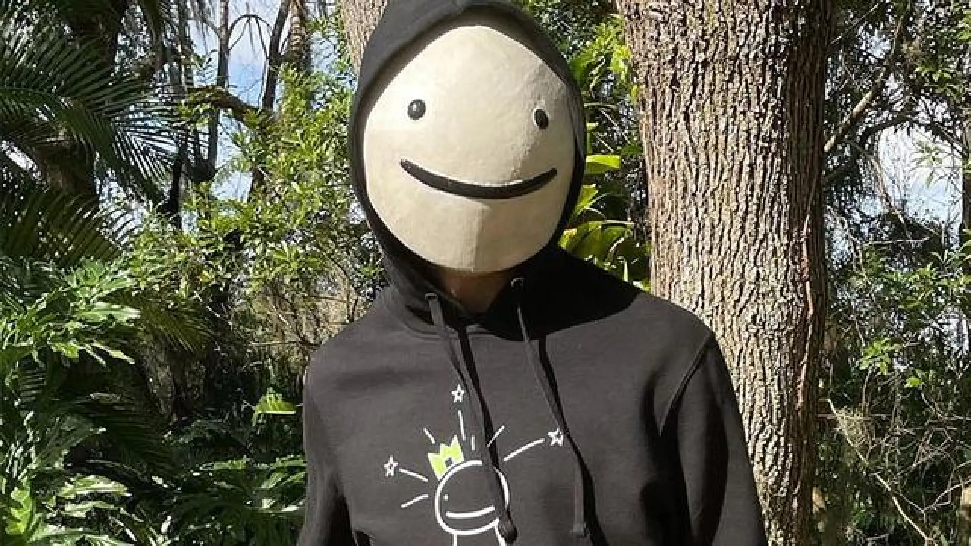 Quien es Dream, el 'youtuber' de 'Minecraft' que se ha arrepentido de ...