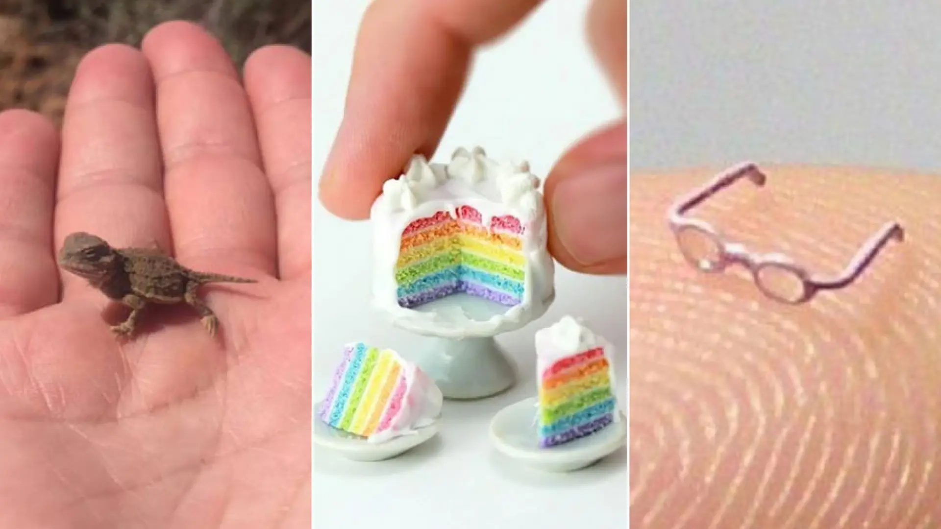 Fotos: Objetos diminutos que no pueden ser más adorables | Imágenes