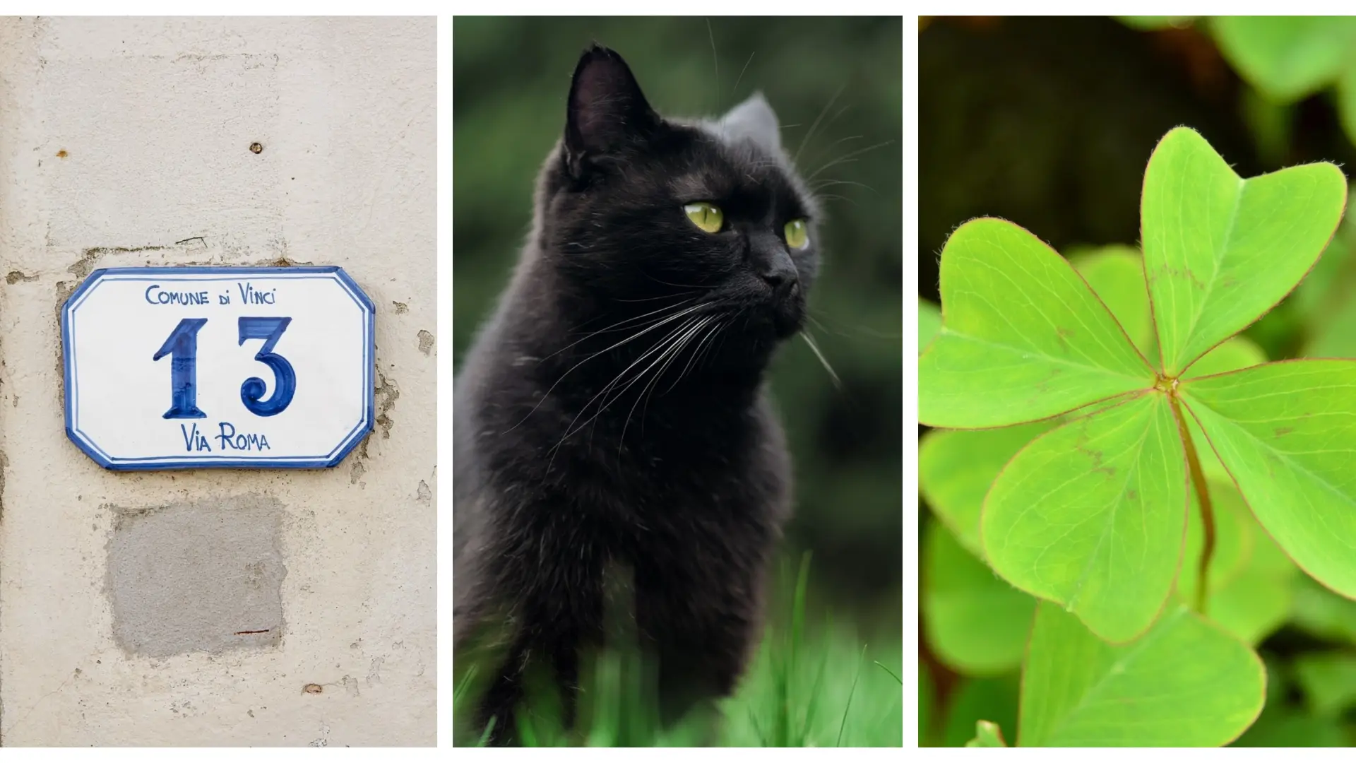 Foto: Encontrar un trébol de cuatro hojas | Estas son las supersticiones más famosas que te ...