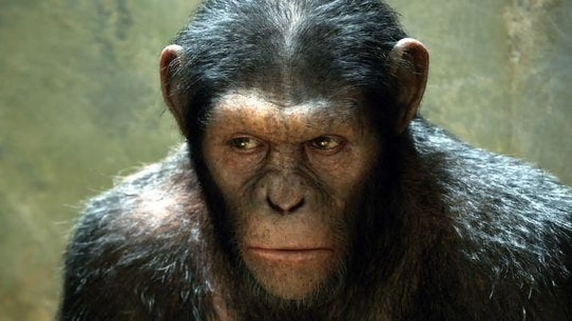 Monerías y monadas: los 12 simios más carismáticos del cine