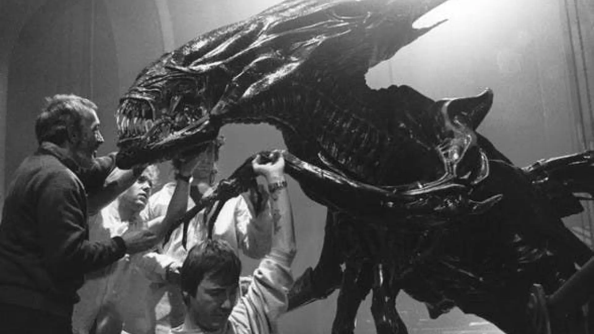 Galería: Así nació la Reina Alien