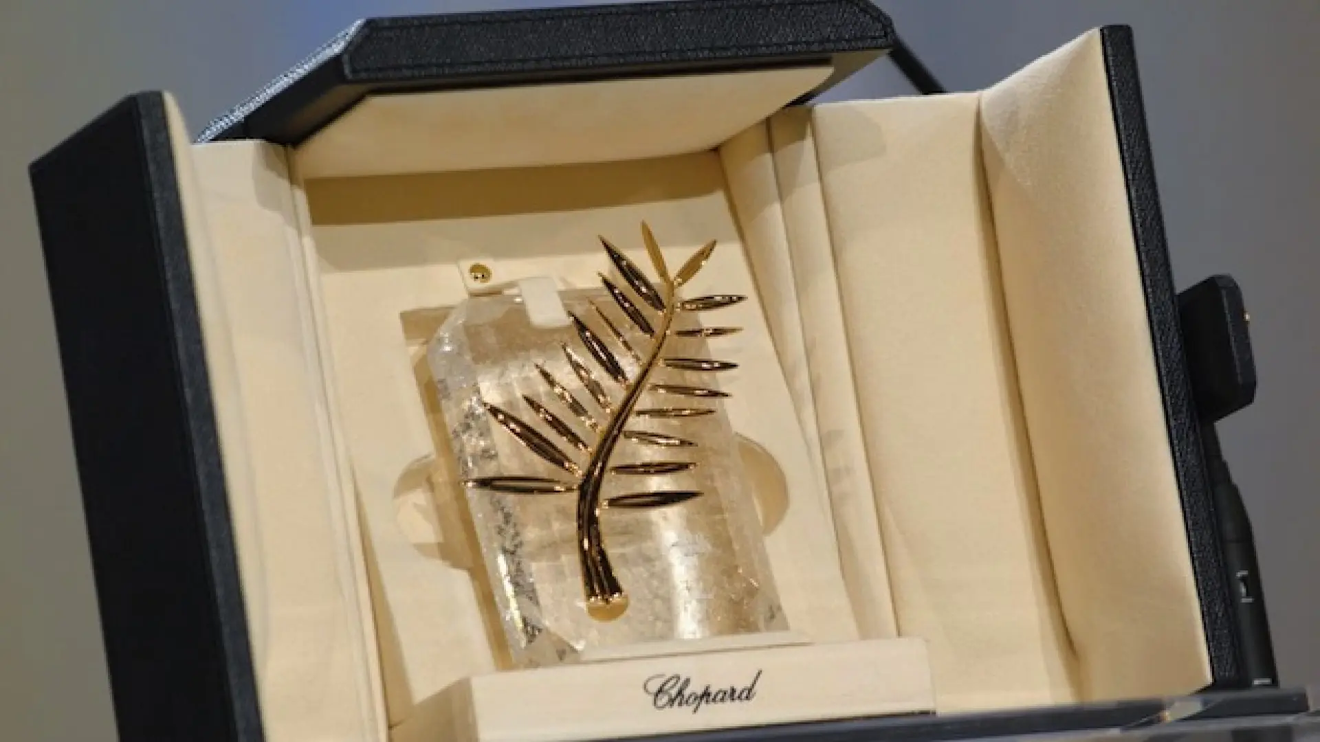 10 películas que ganaron la Palma de Oro en el Festival de Cannes y en ...