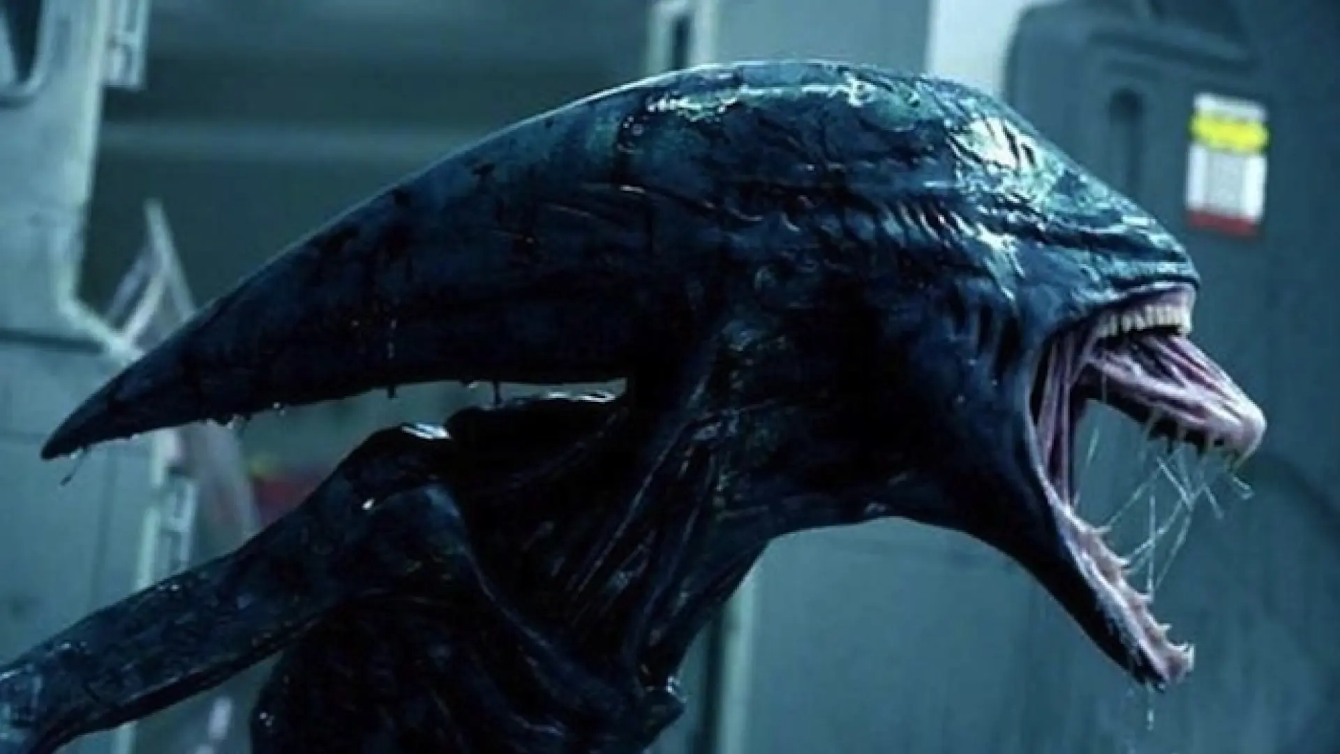 ¿Por qué 'Prometheus' no se parece a 'Alien'? Damon Lindelof da ...