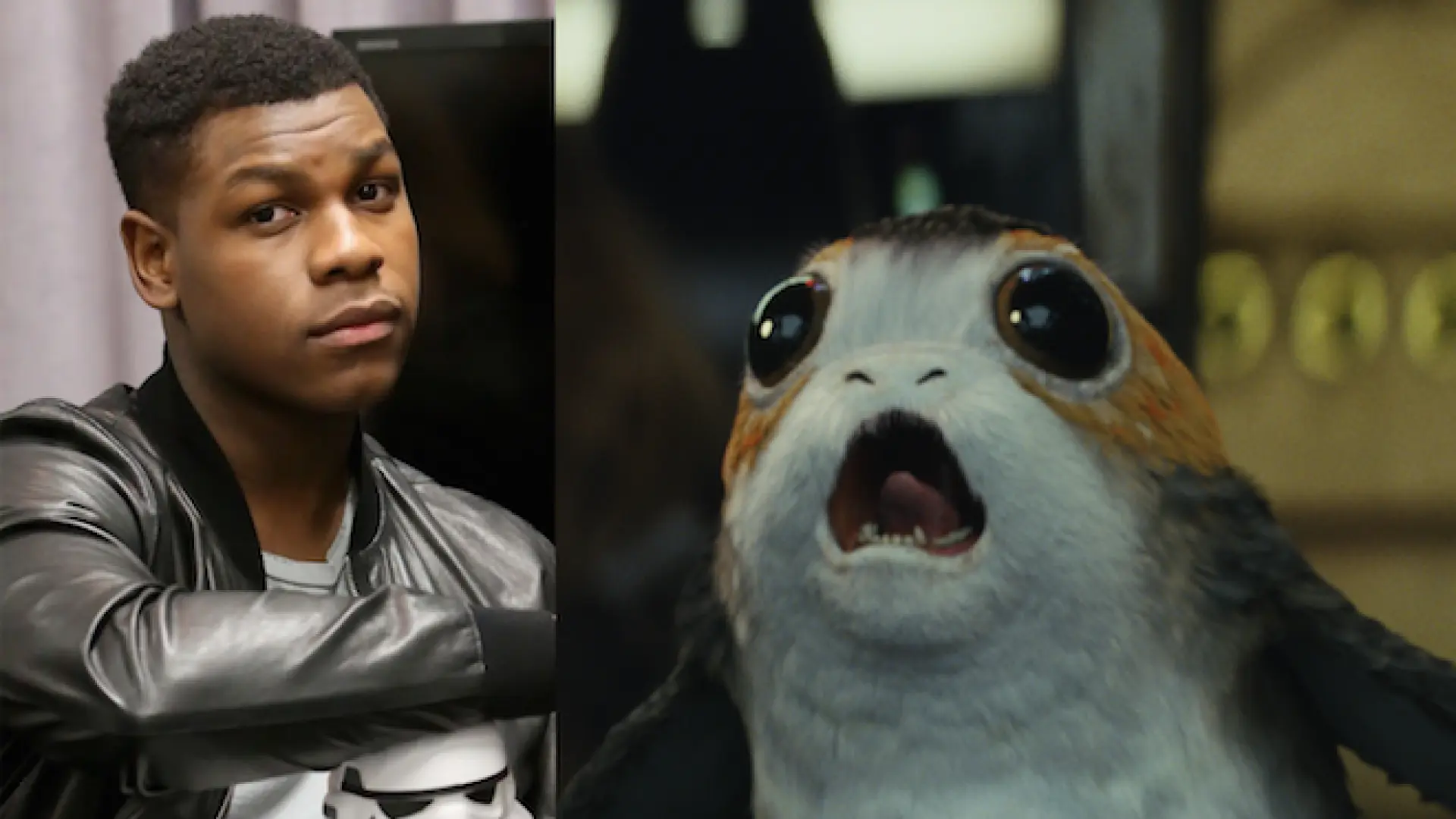 'Star Wars': John Boyega explica por qué los Porgs le dan mal rollo