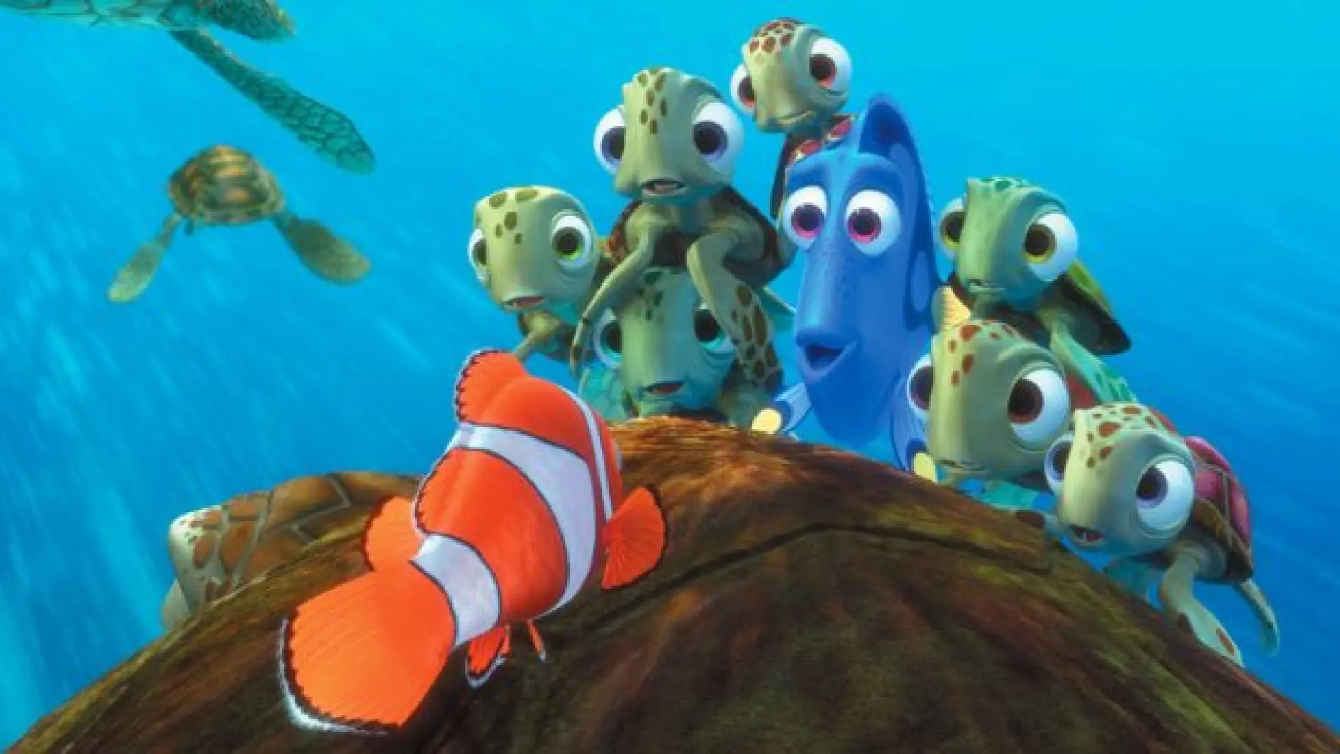 Hace ya 15 años de 'Buscando a Nemo'