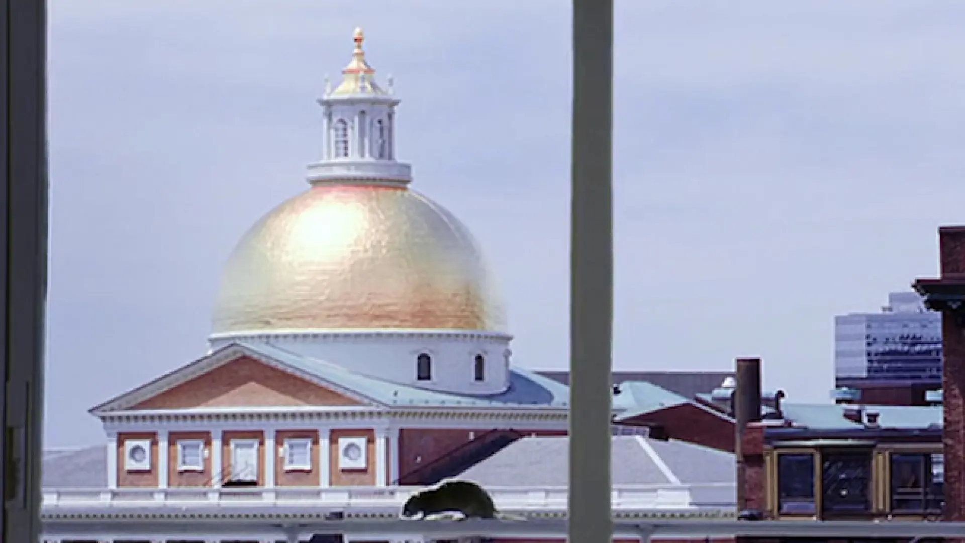 ¿Habría que quitar la rata del final de 'Infiltrados'?