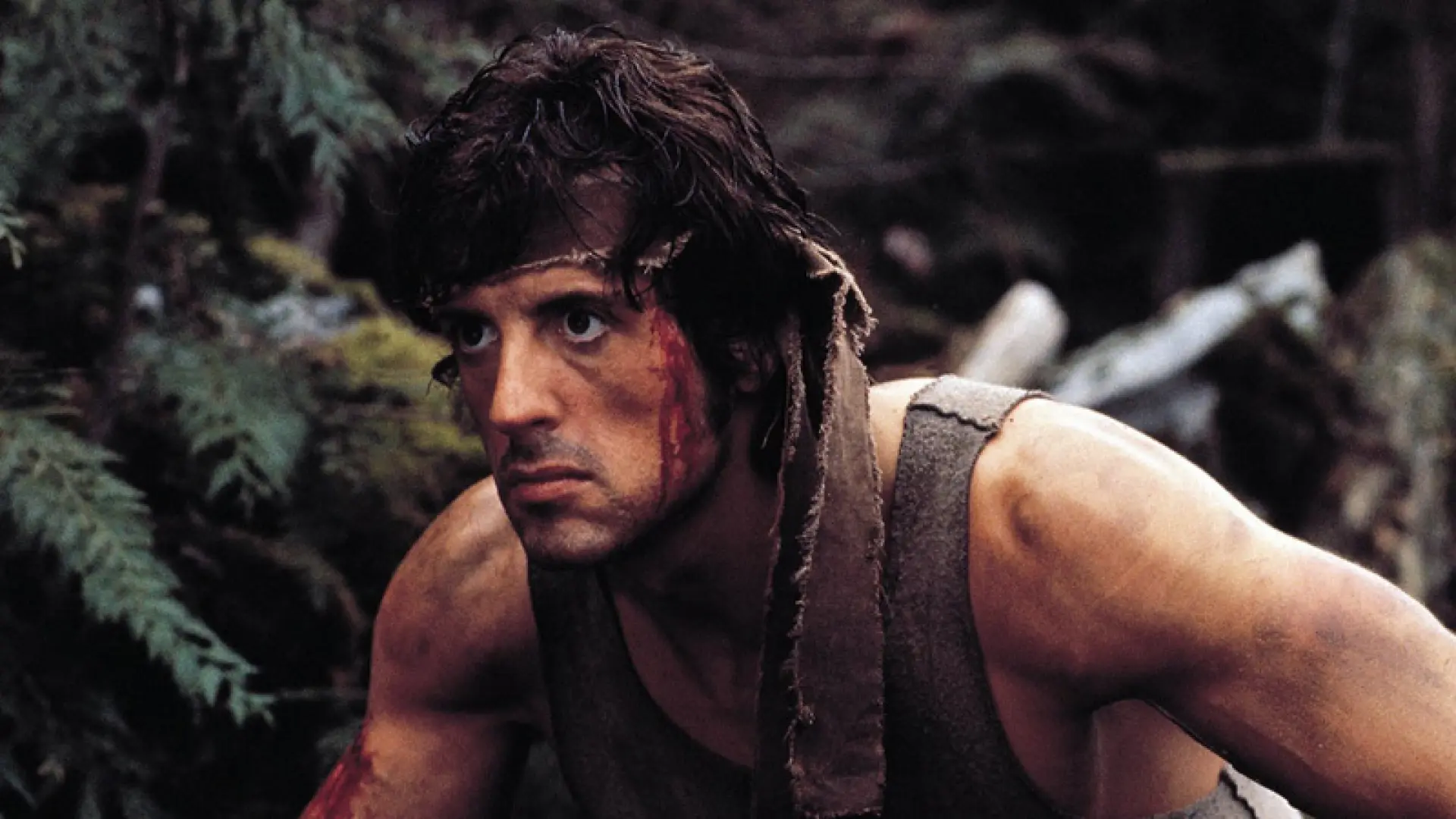 Vuelve Rambo, el viejo y el joven, con 'Last Blood' y 'Acorralado'