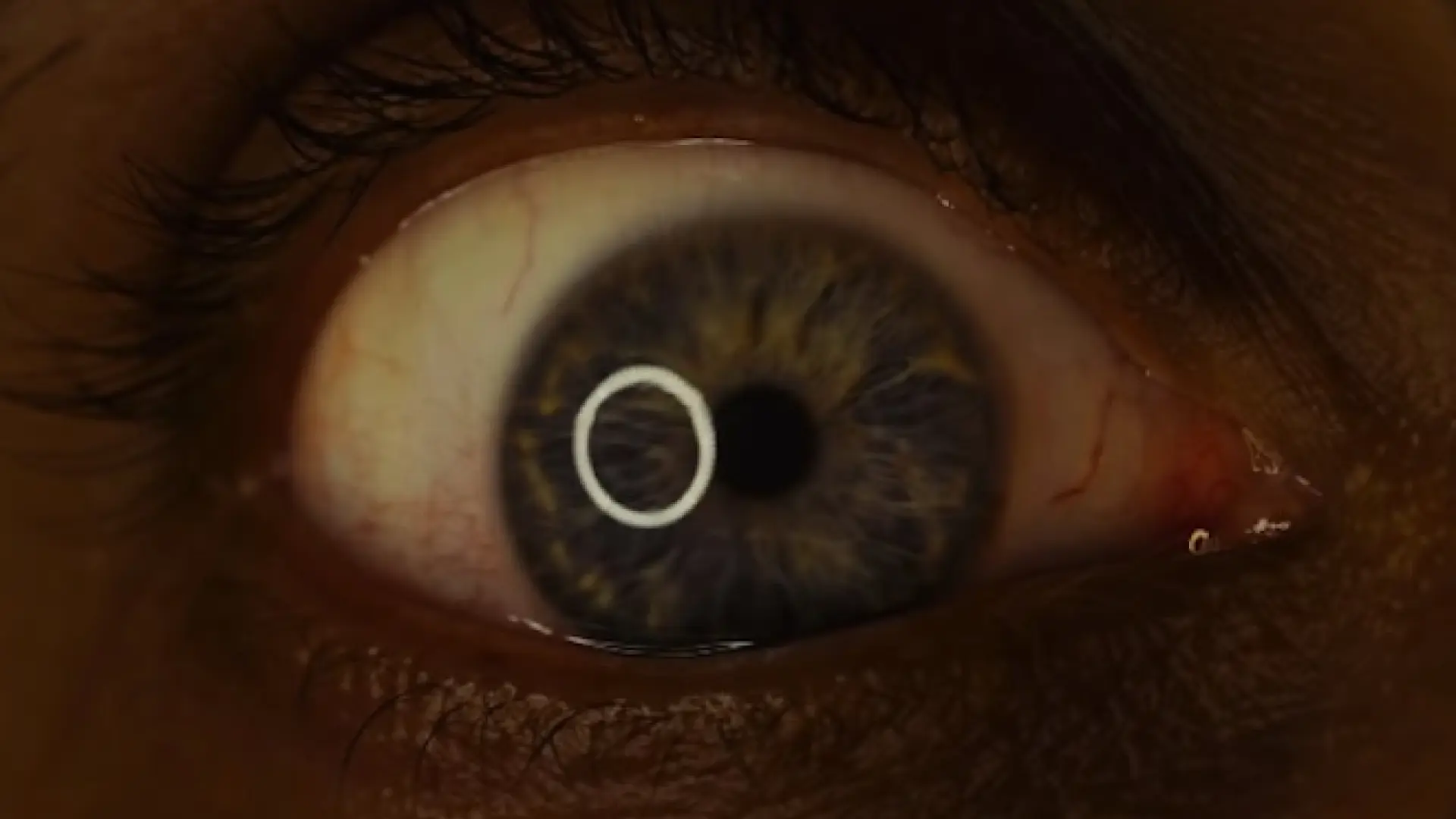 Tráiler de 'Possessor', el perturbador tecno-thriller gore de Brandon ...