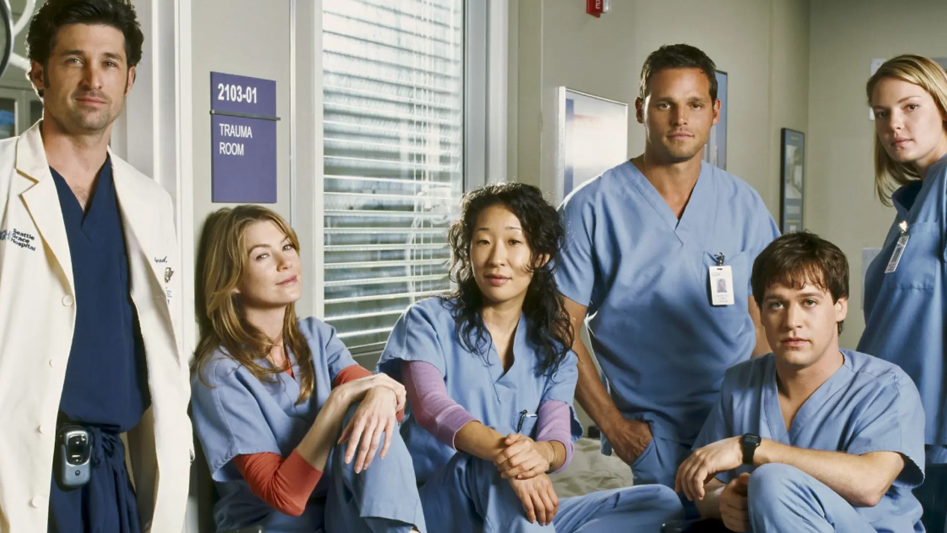 Anatomía De Burke Grey