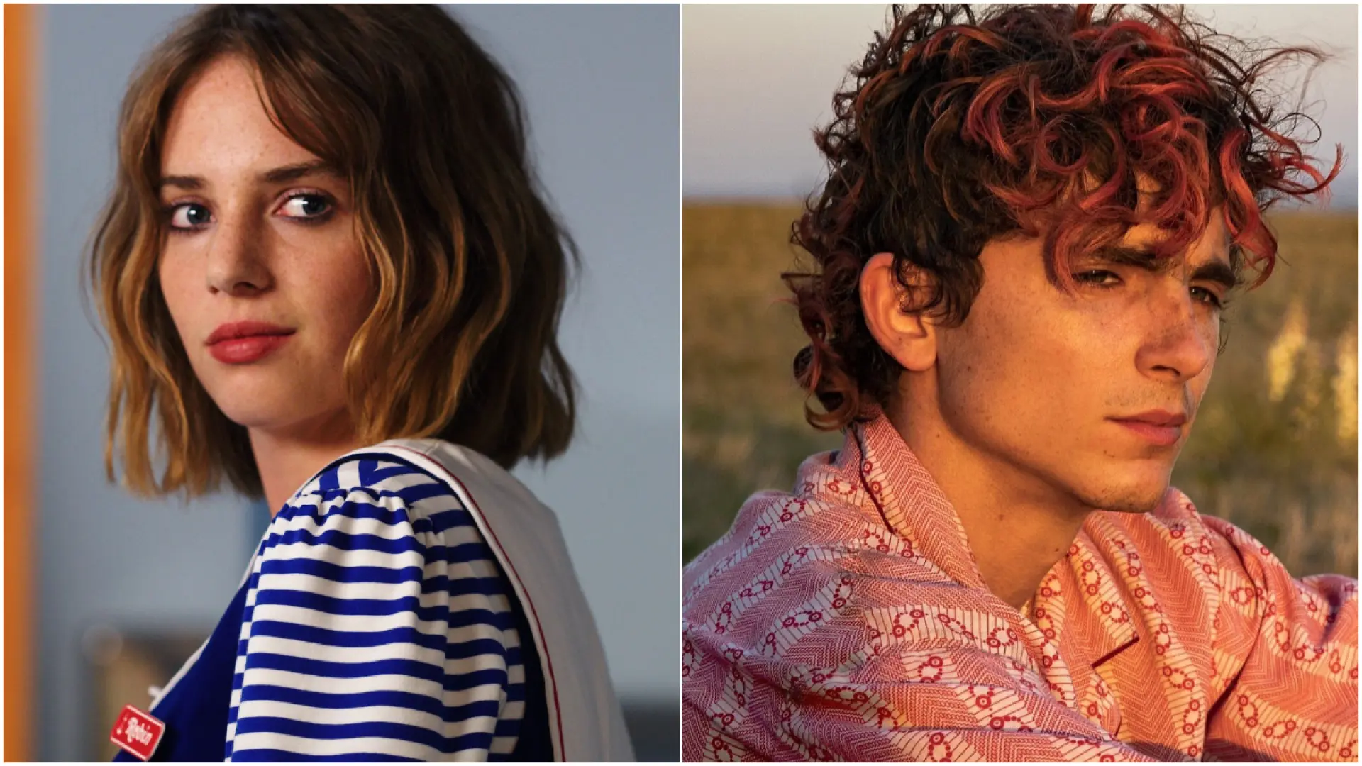 La invasión de los 'nepo babies': así han conquistado el cine los hijos ...