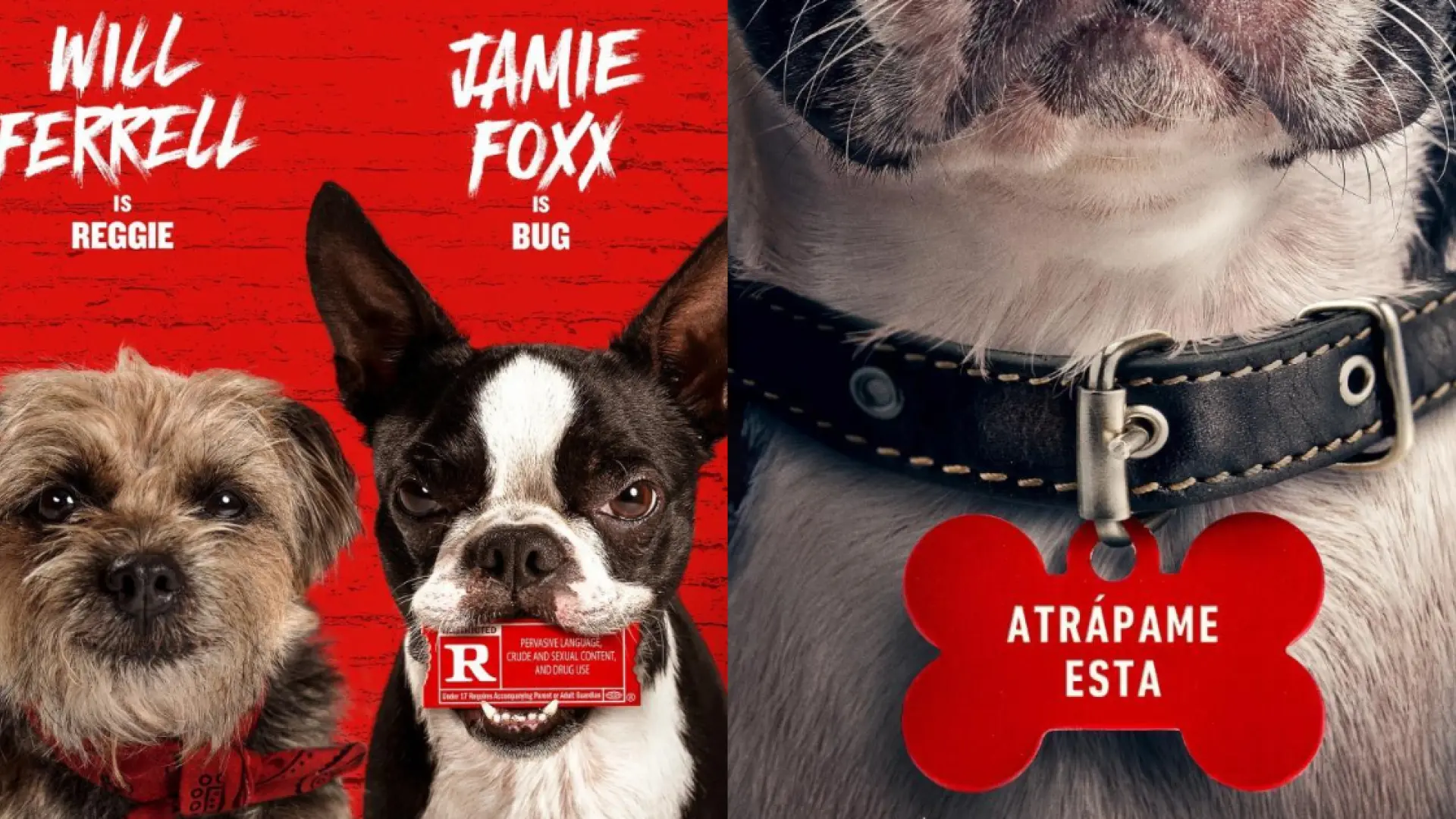 ¿Por qué la nueva película sobre perros parlanchines ha sido prohibida ...