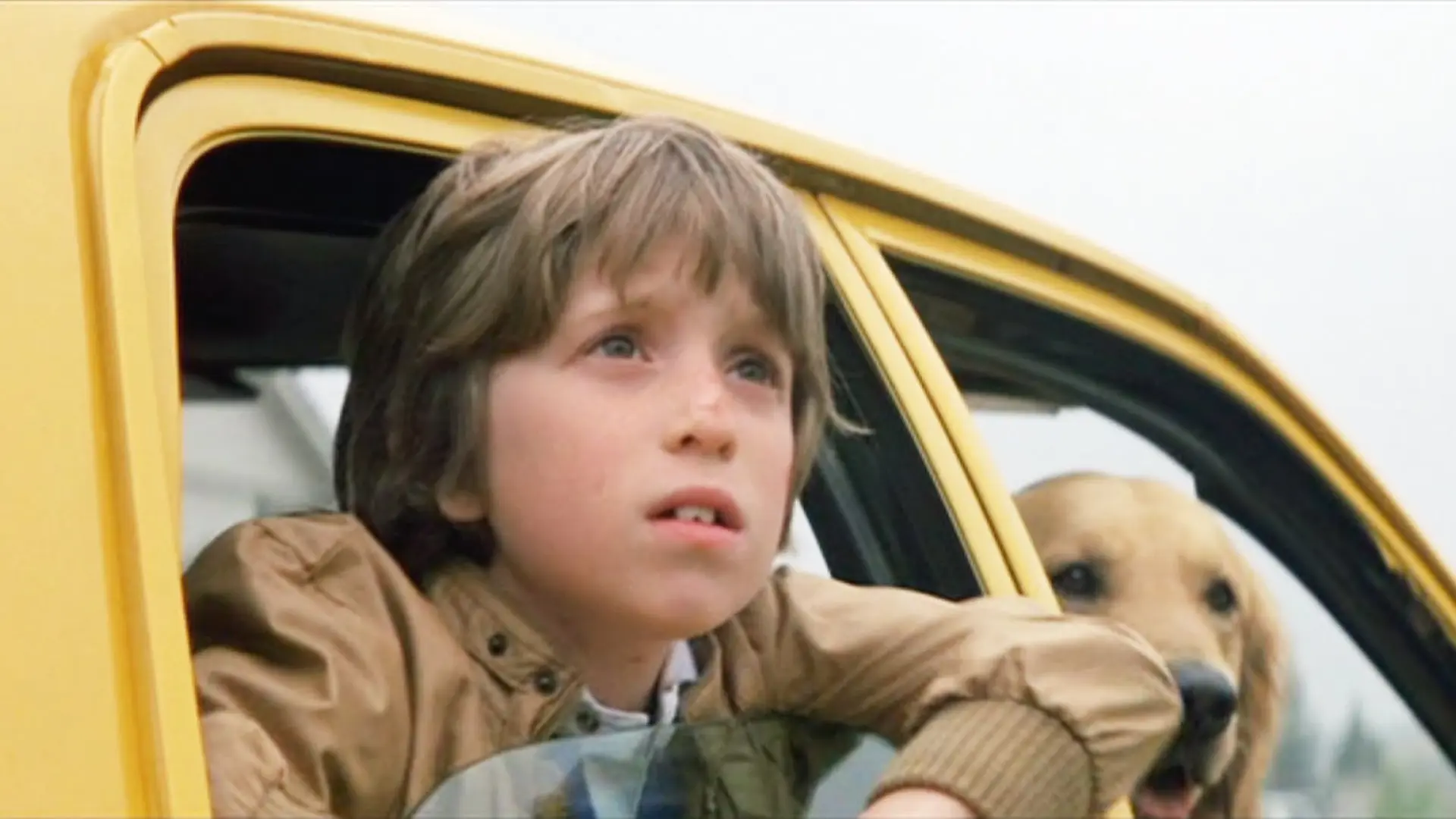 ¿Qué fue de Oliver Robins, el niño de 'Poltergeist'? Así ha cambiado ...