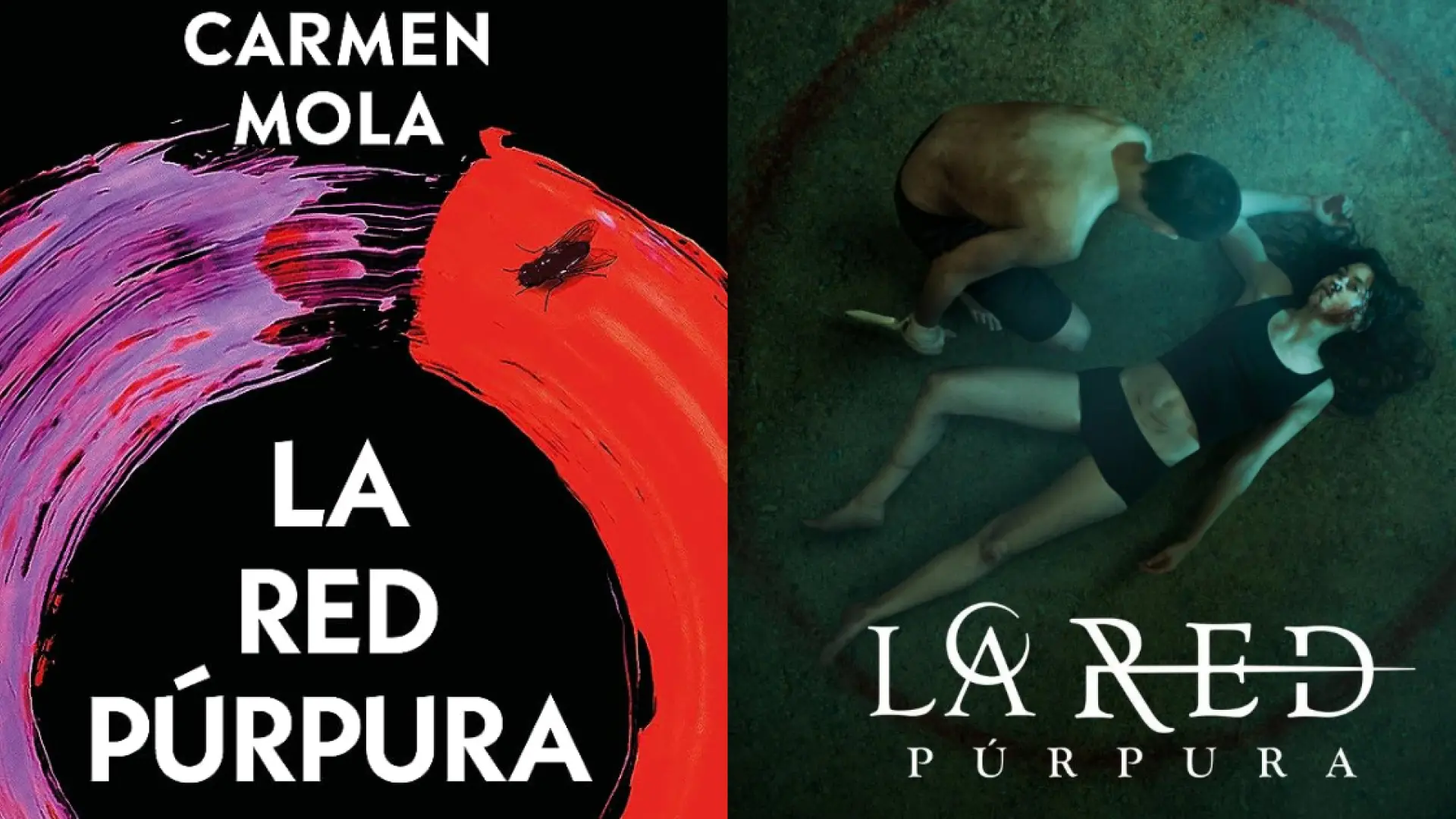 Fecha de estreno y tráiler de 'La red púrpura', la segunda temporada de 'La novia gitana' en ...