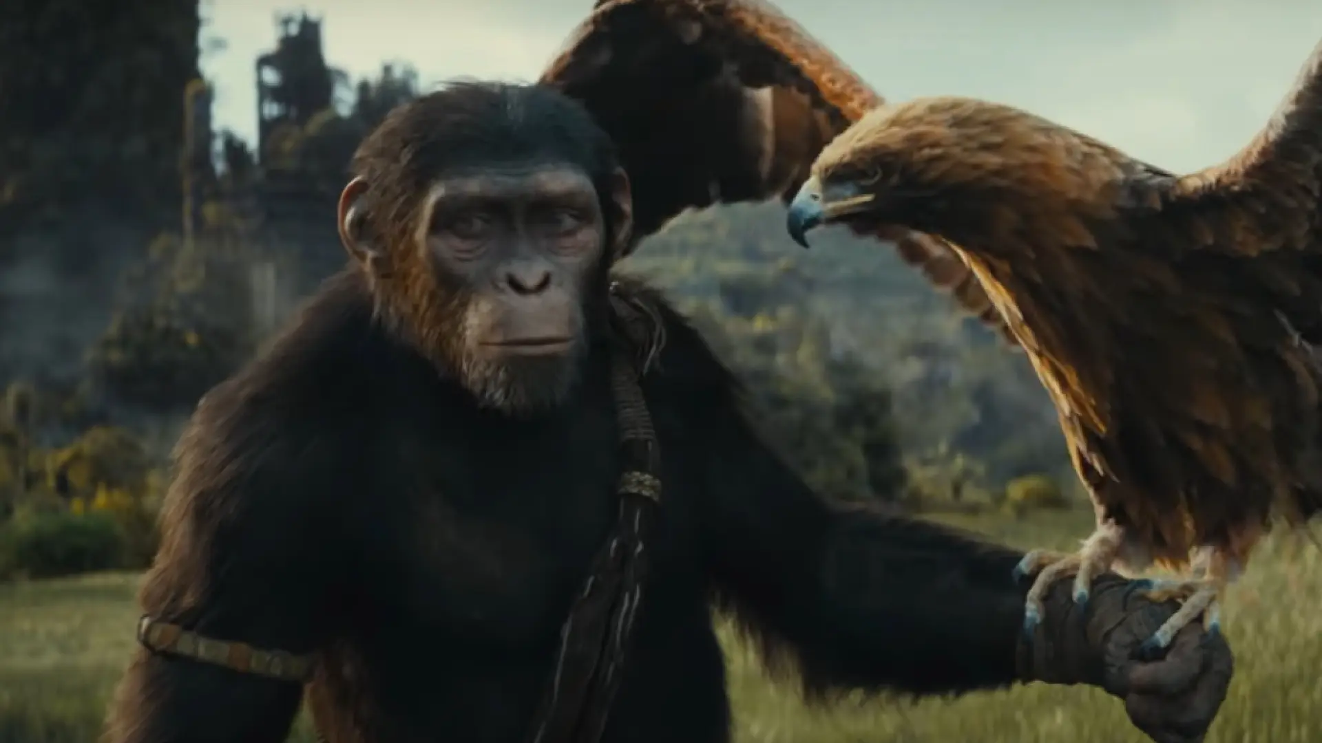 Todo sobre 'El Reino del planeta de los simios': tráiler, sinopsis, reparto y fecha de estreno