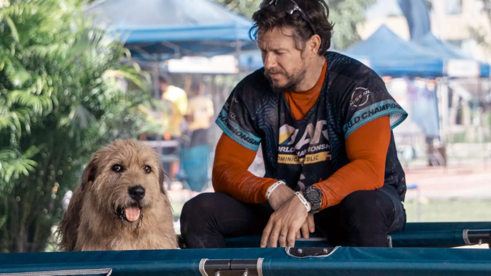 La conmovedora historia real de 'Arthur', la película de Mark Wahlberg con un perro que triunfa ...