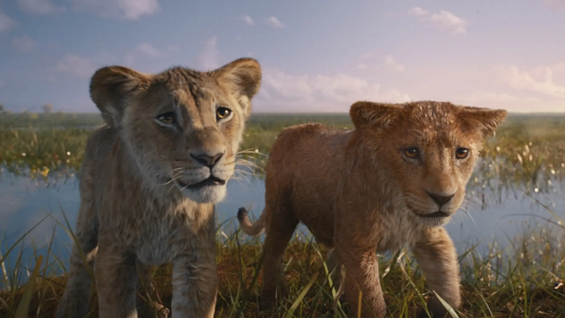 'Mufasa': final explicado de la precuela de 'El rey león' de Disney