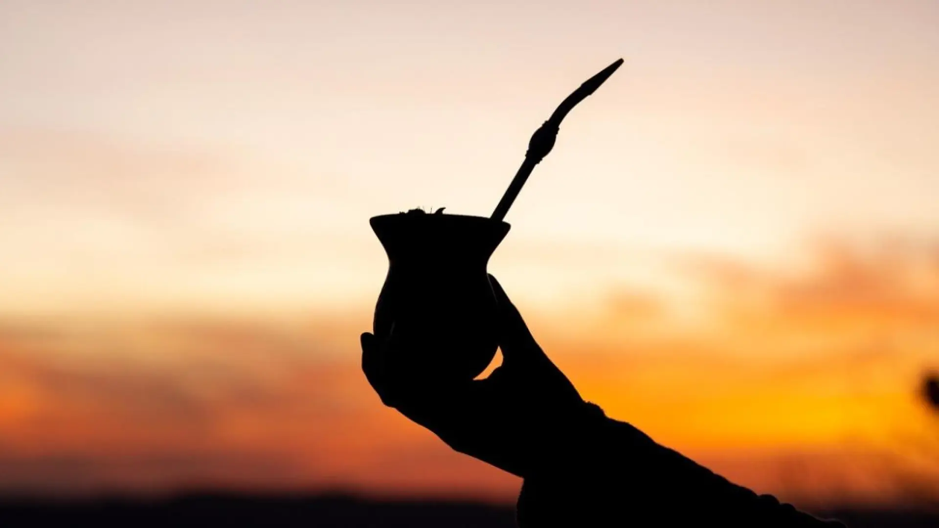 El mate, una bebida entre Argentina y Uruguay con infinitas propiedades ...