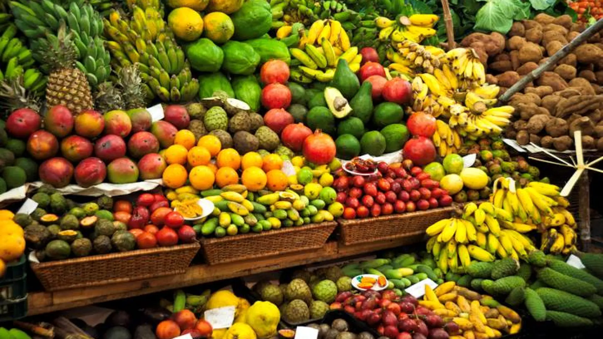 El increíble fruto que parece una sandía, tiene el tamaño de una uva y ...