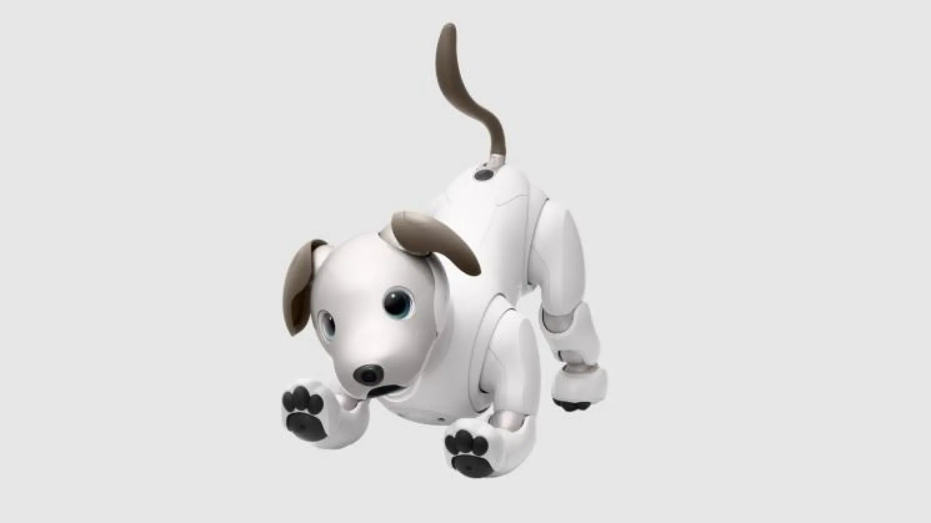 Adopta a un perro robot: la iniciativa de Sony para dar una segunda ...
