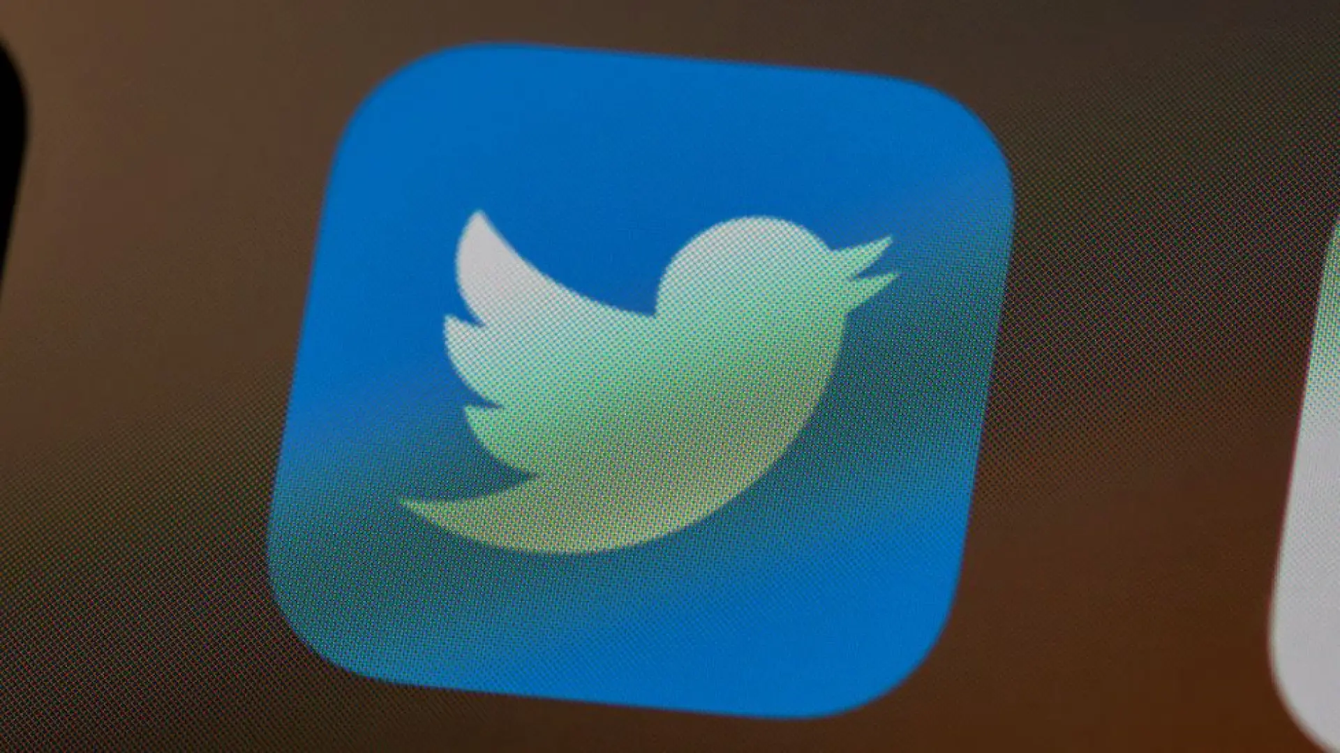 El logo de Twitter no había cambiado en 11 años: 6 datos curiosos sobre ...