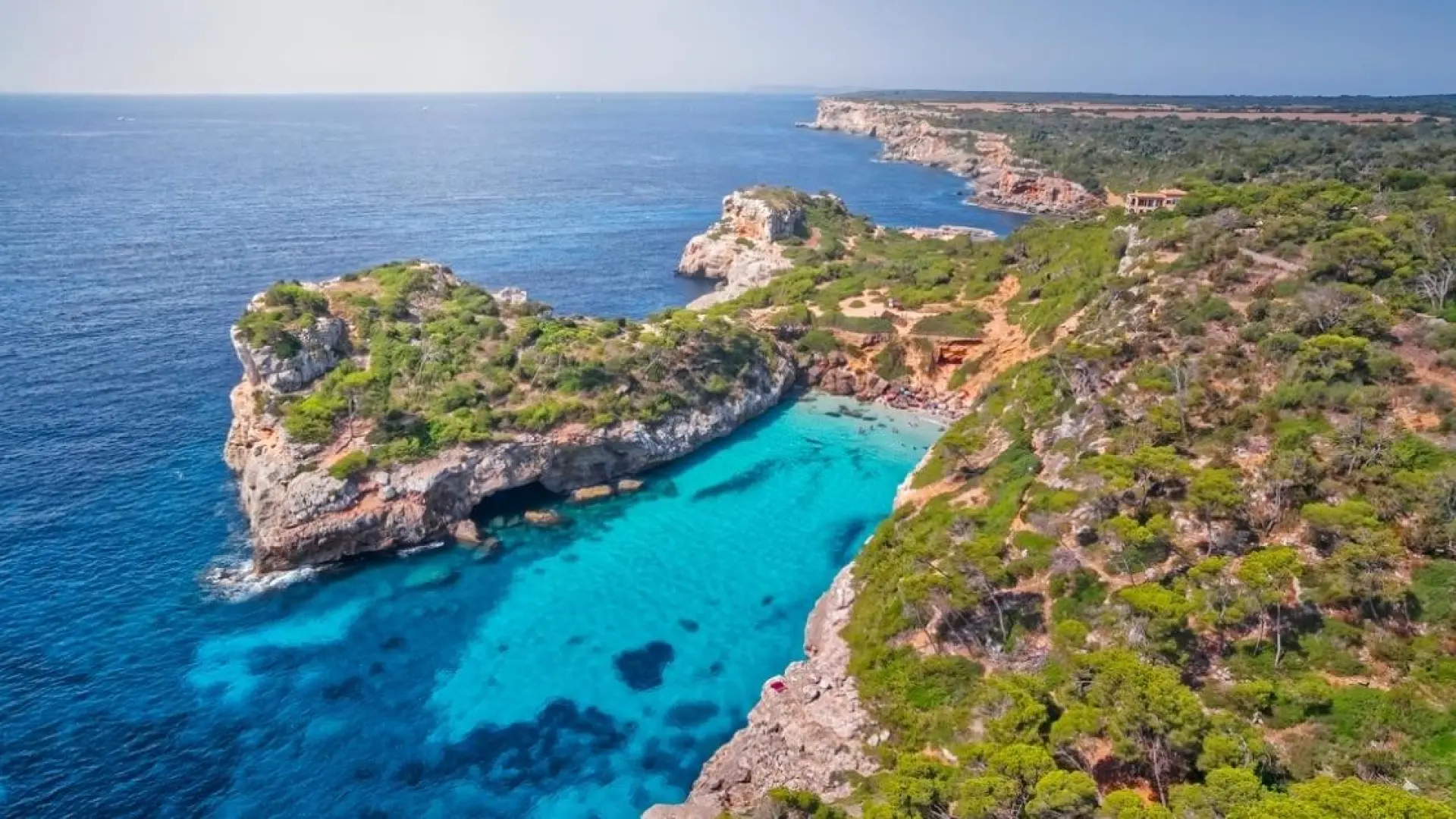 Las 10 calas más bonitas de Mallorca: aguas cristalinas y naturaleza ...