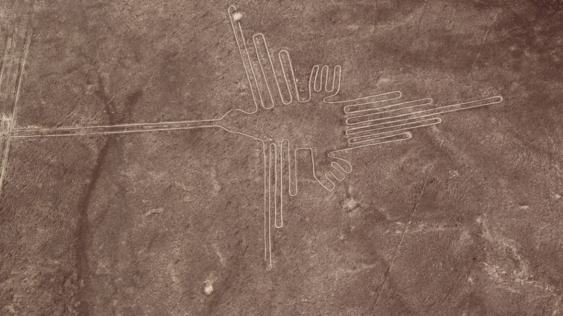 Encuentran más de 150 figuras nuevas en las misteriosas Líneas de Nazca ...