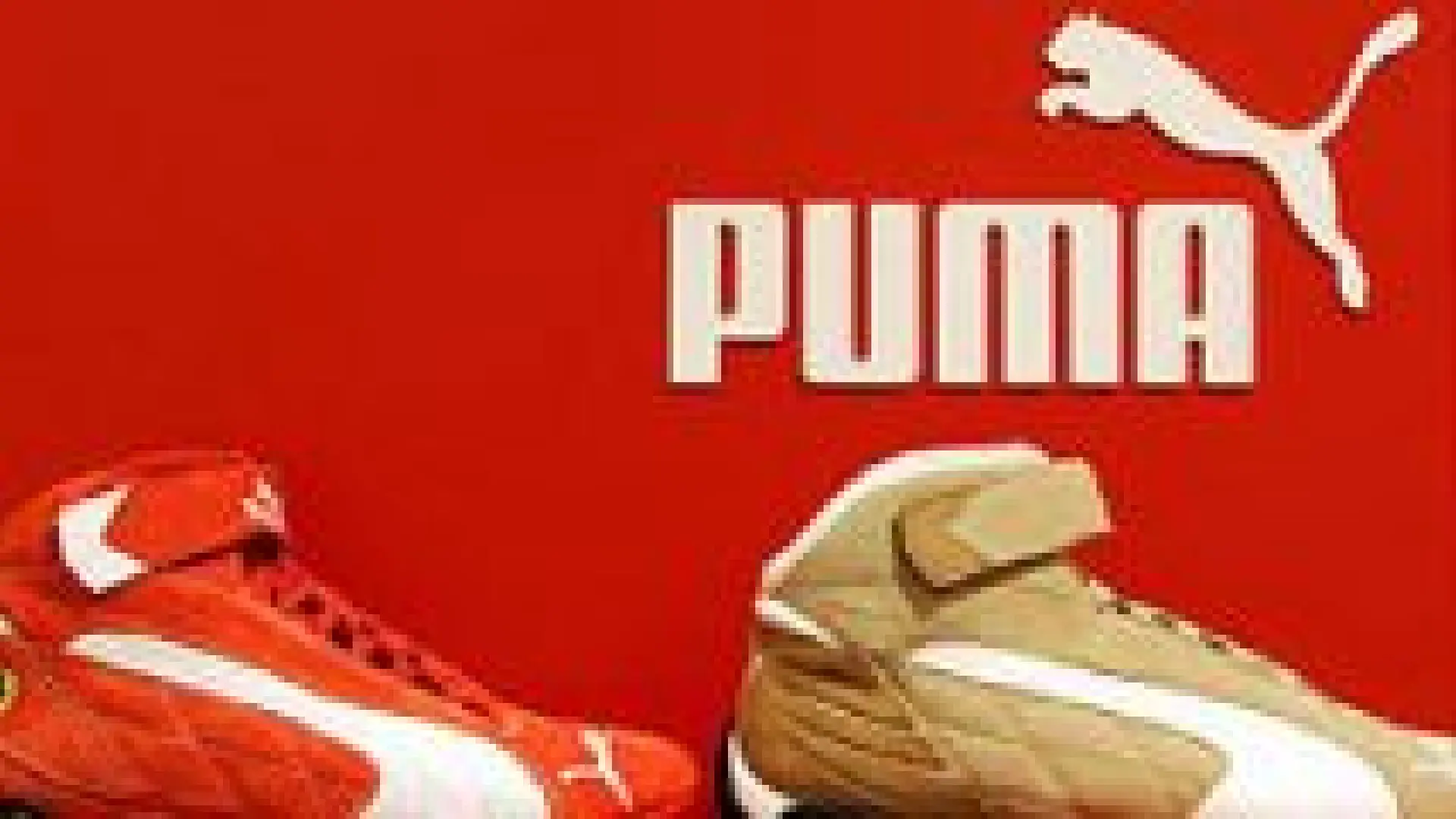 Intervienen más de 55.000 pares de calzado falsos que imitaban la marca ...