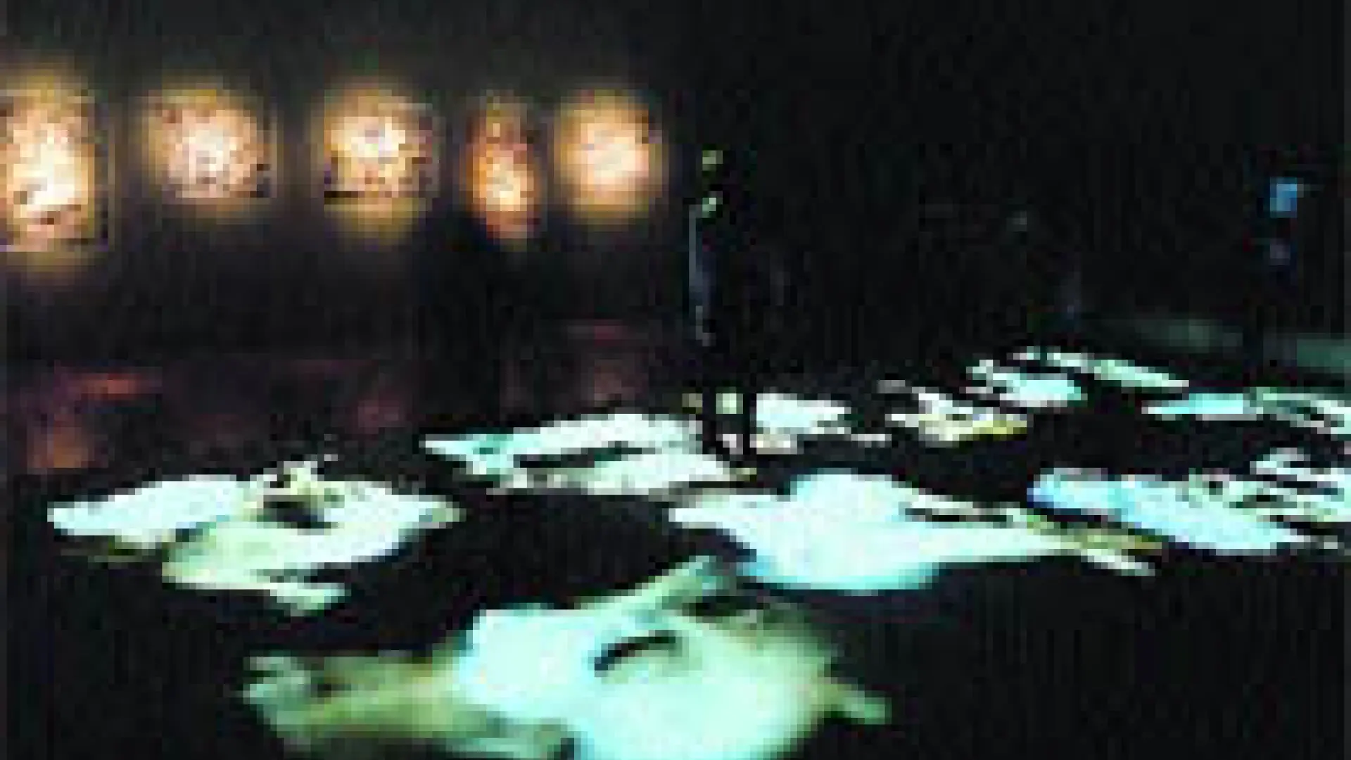 Viaje a la raíz de la identidad