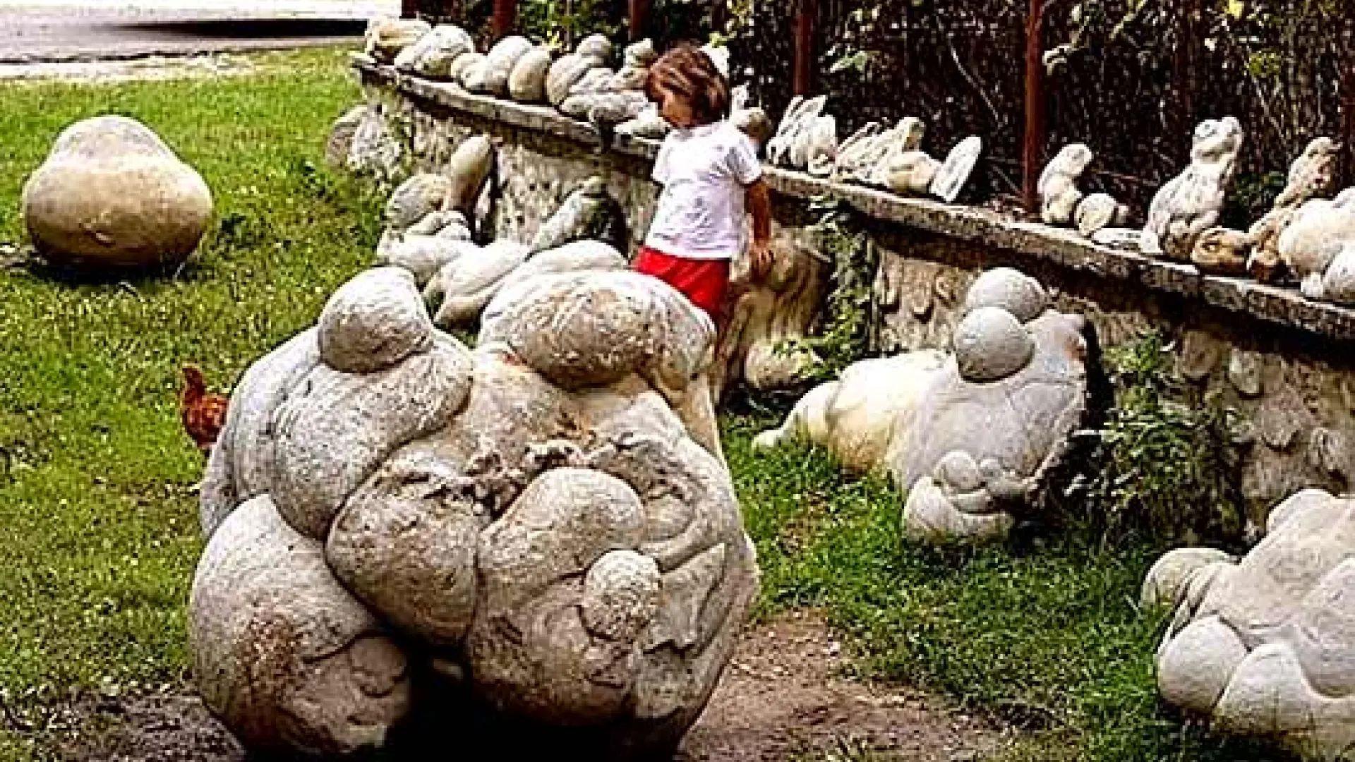 'Trovants', las piedras que crecen