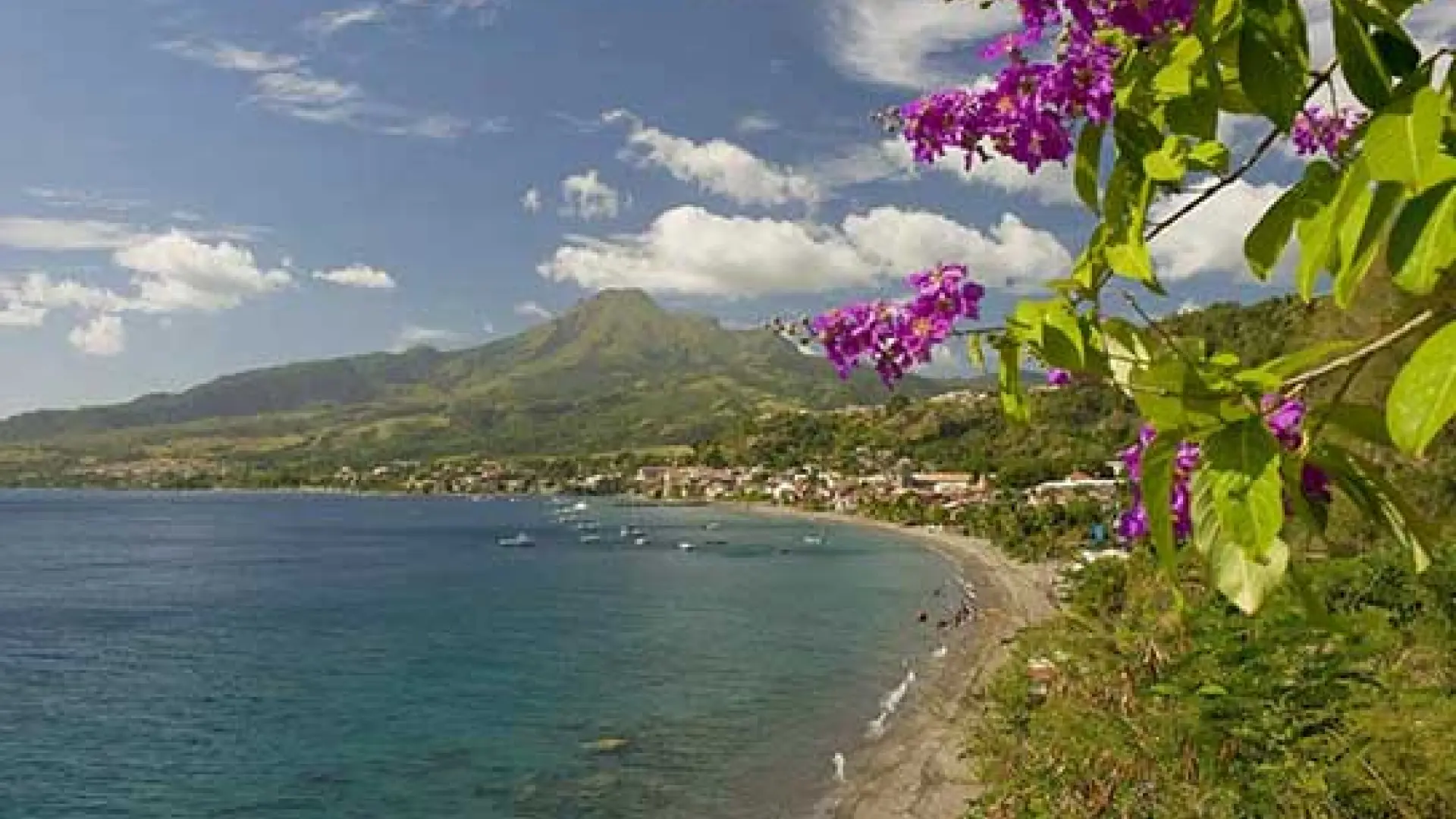 La postal está en La Martinica