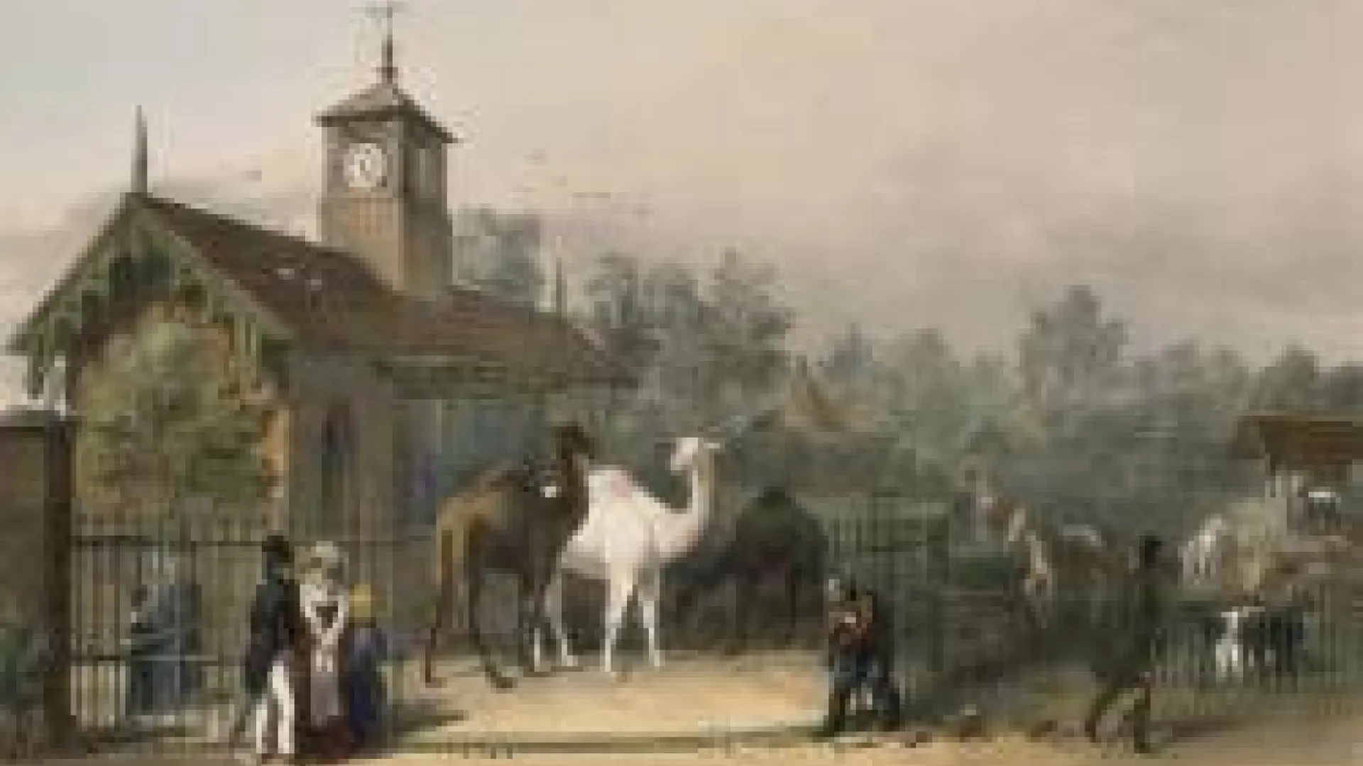 El primer zoológico del mundo