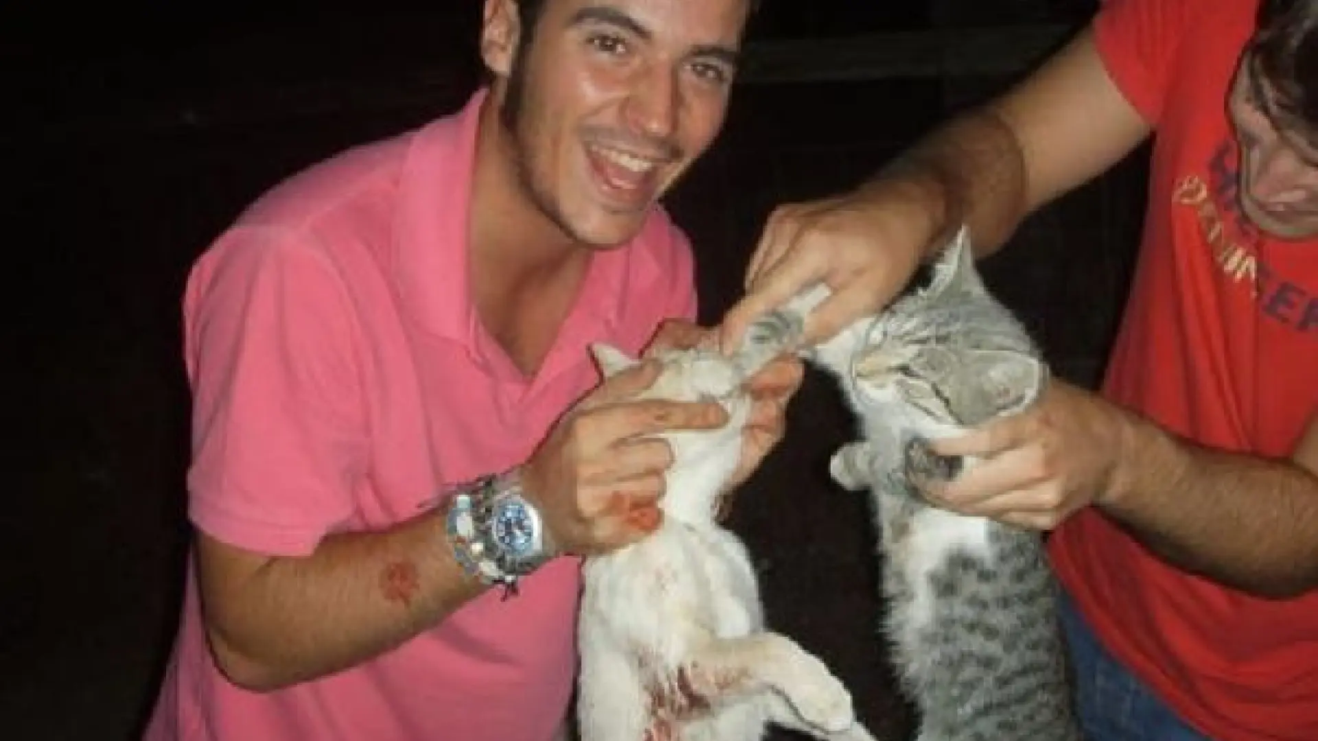 El juez no cree que el 'matagatos' cometiera un delito porque se ...