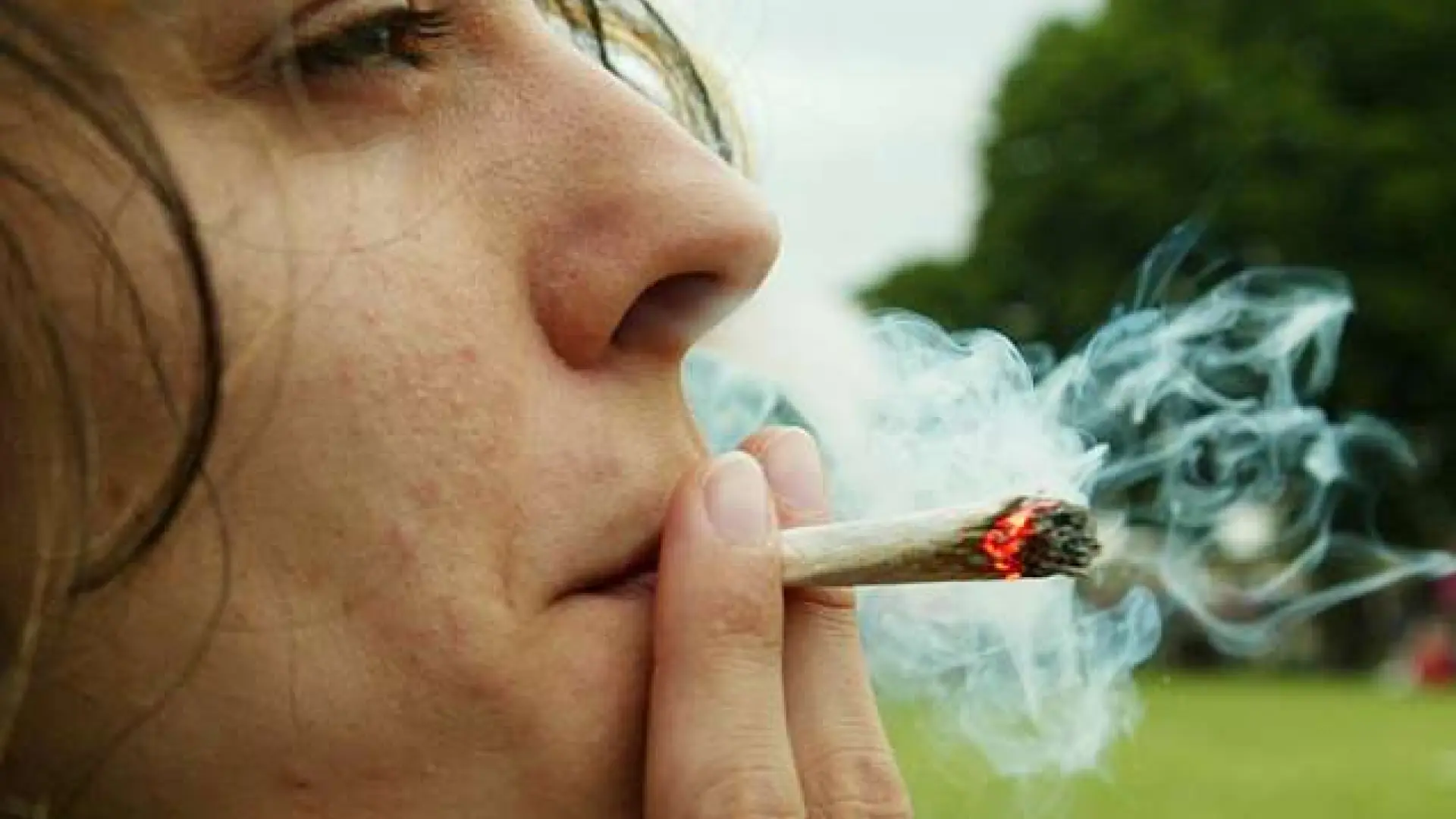 Cinco porros semanales o cuando el consumo de cannabis se convierte en ...