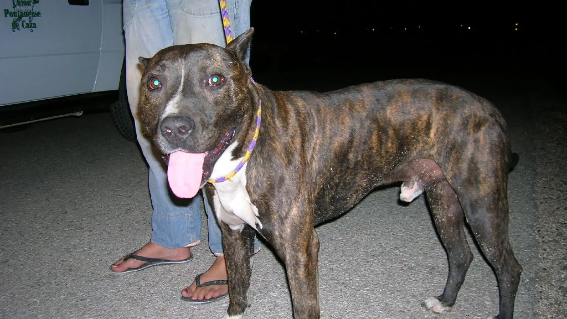 Markus y Mindy, dos nuevos rescates de La Guarida