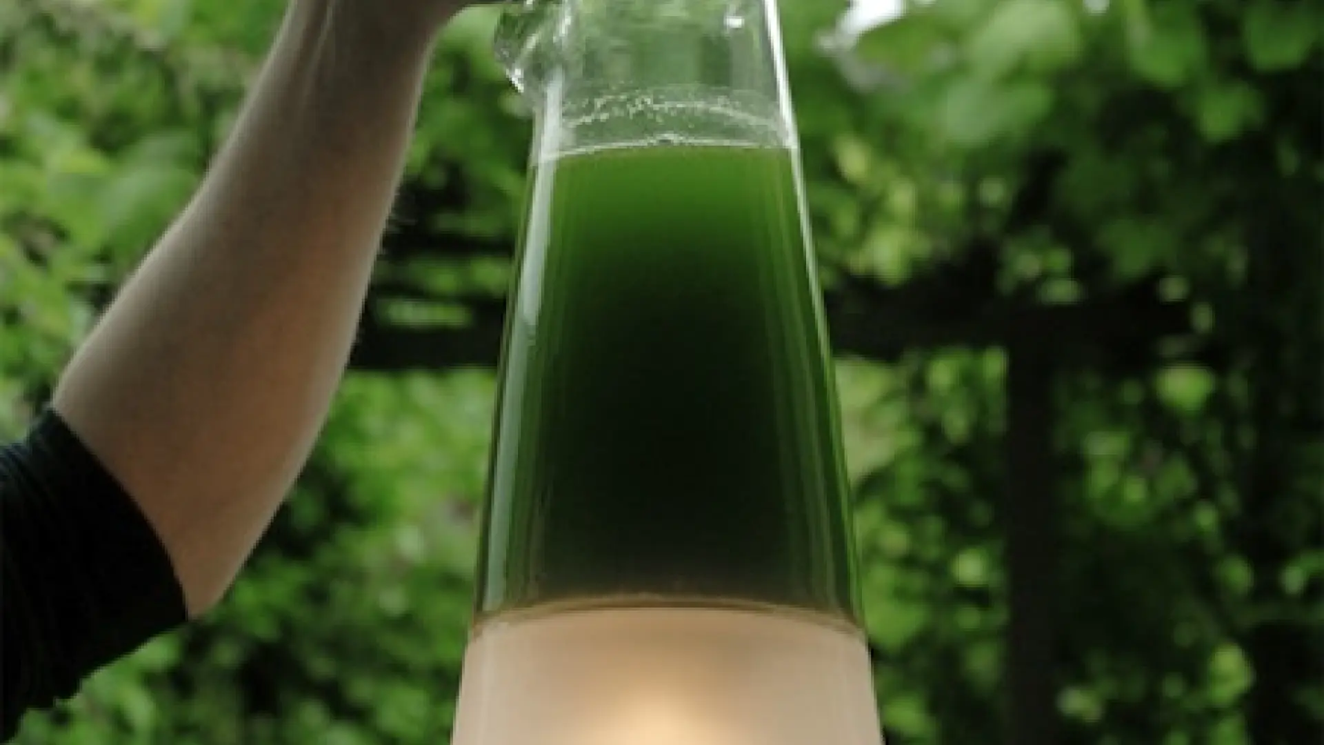 Latro, la lámpara de algas que funciona con aliento humano | Opinión de ...