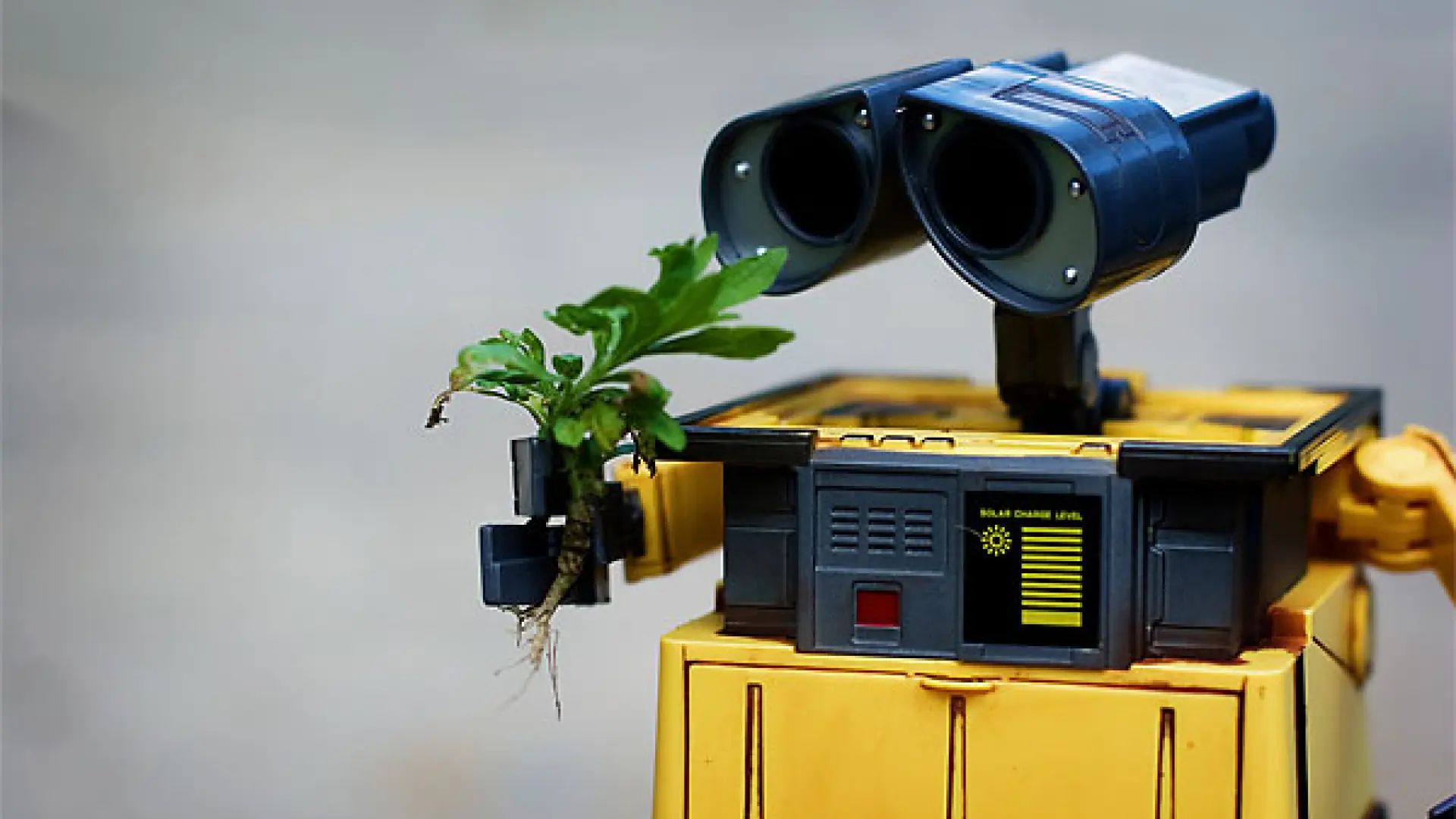 Robots que comen plantas para obtener biocombustibles | Opinión de ...