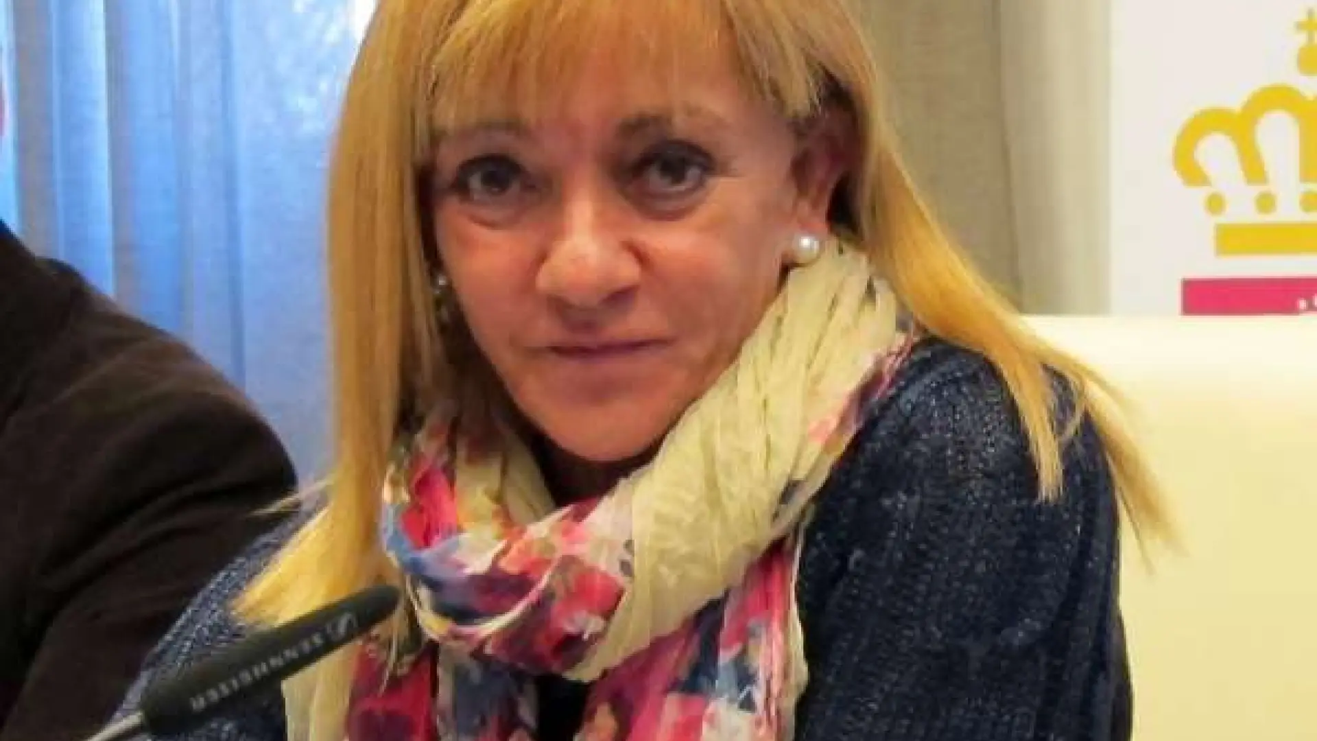 Isabel Carrasco establece como retos para 2012 hacer un buen Plan ...