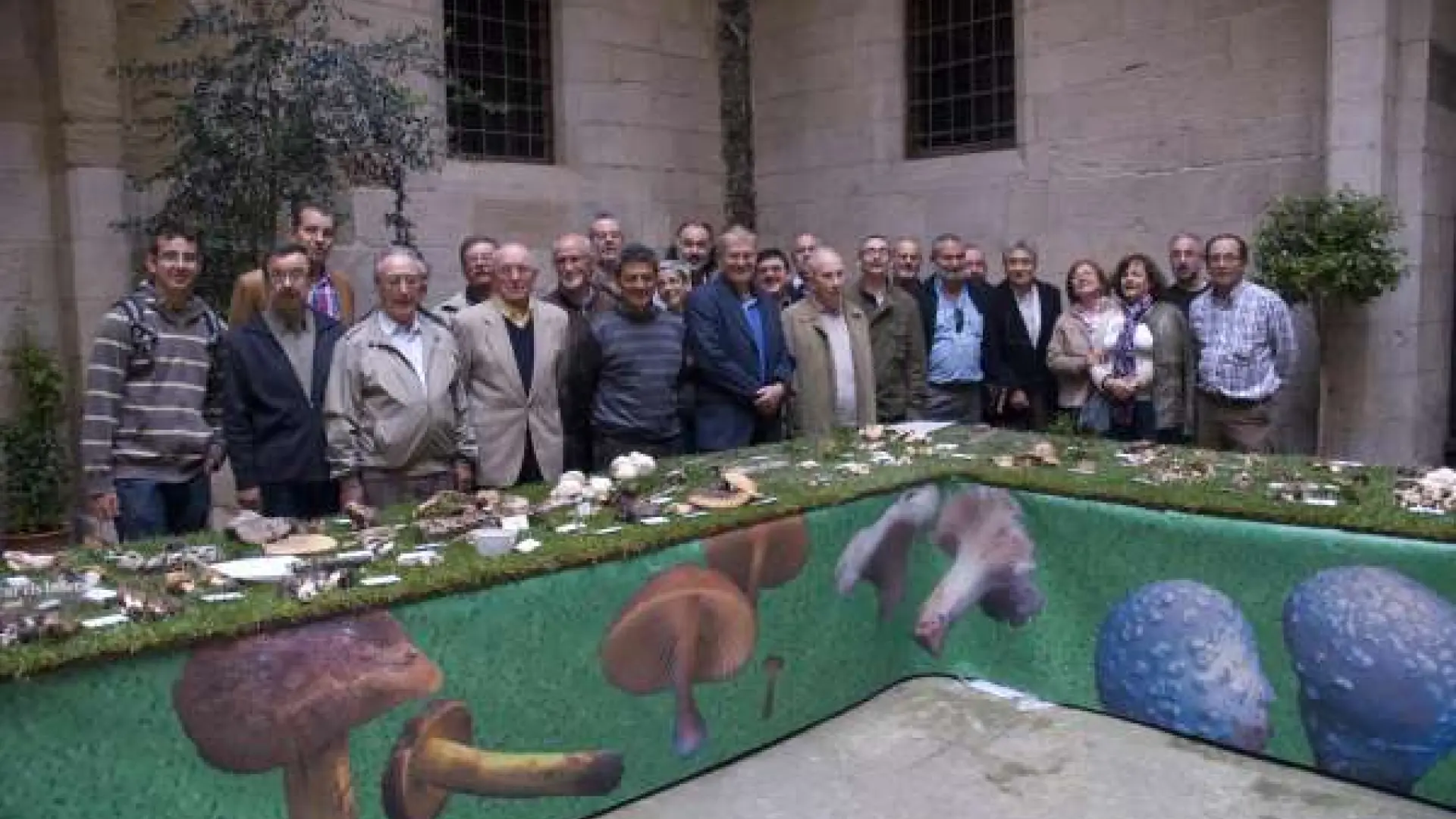 La muestra de setas de primavera de Lleida reúne 80 variedades