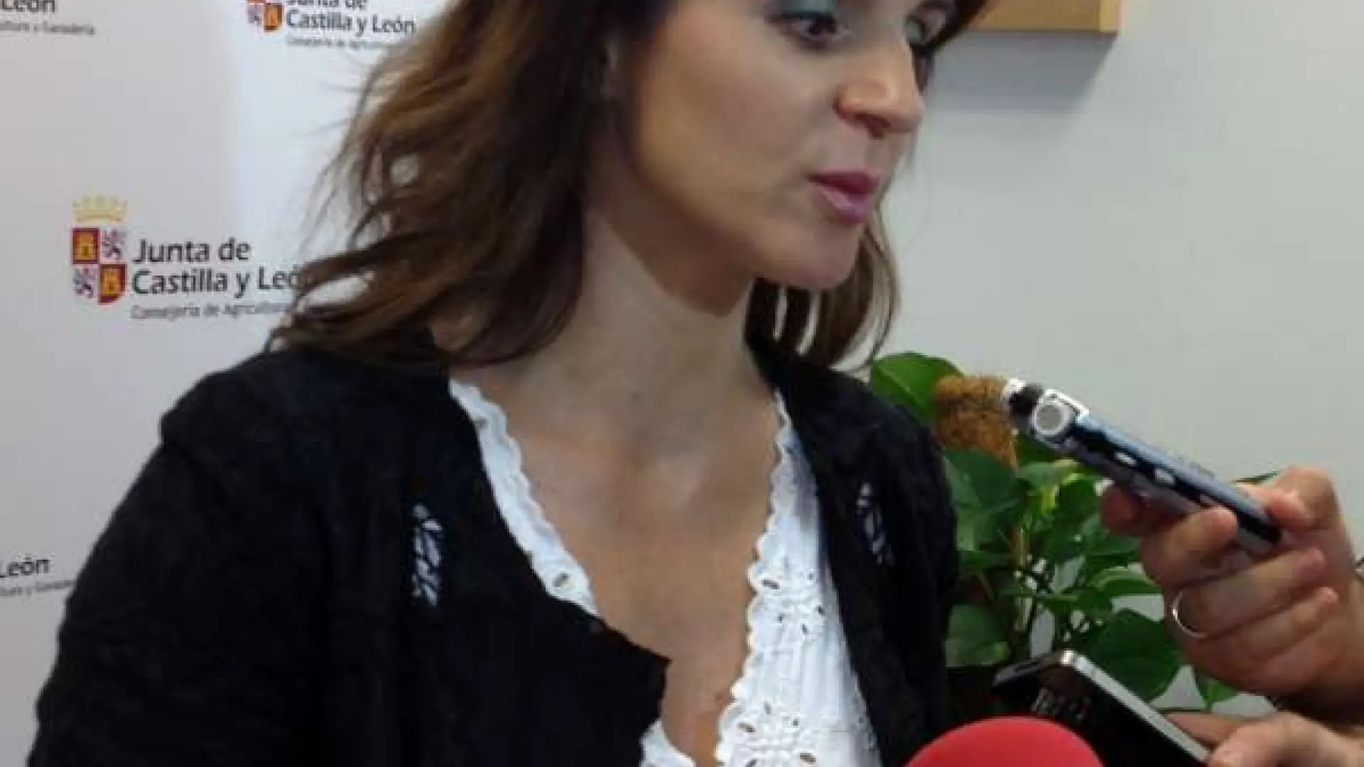 Clemente anuncia un principio de acuerdo del convenio de acreedores de ...