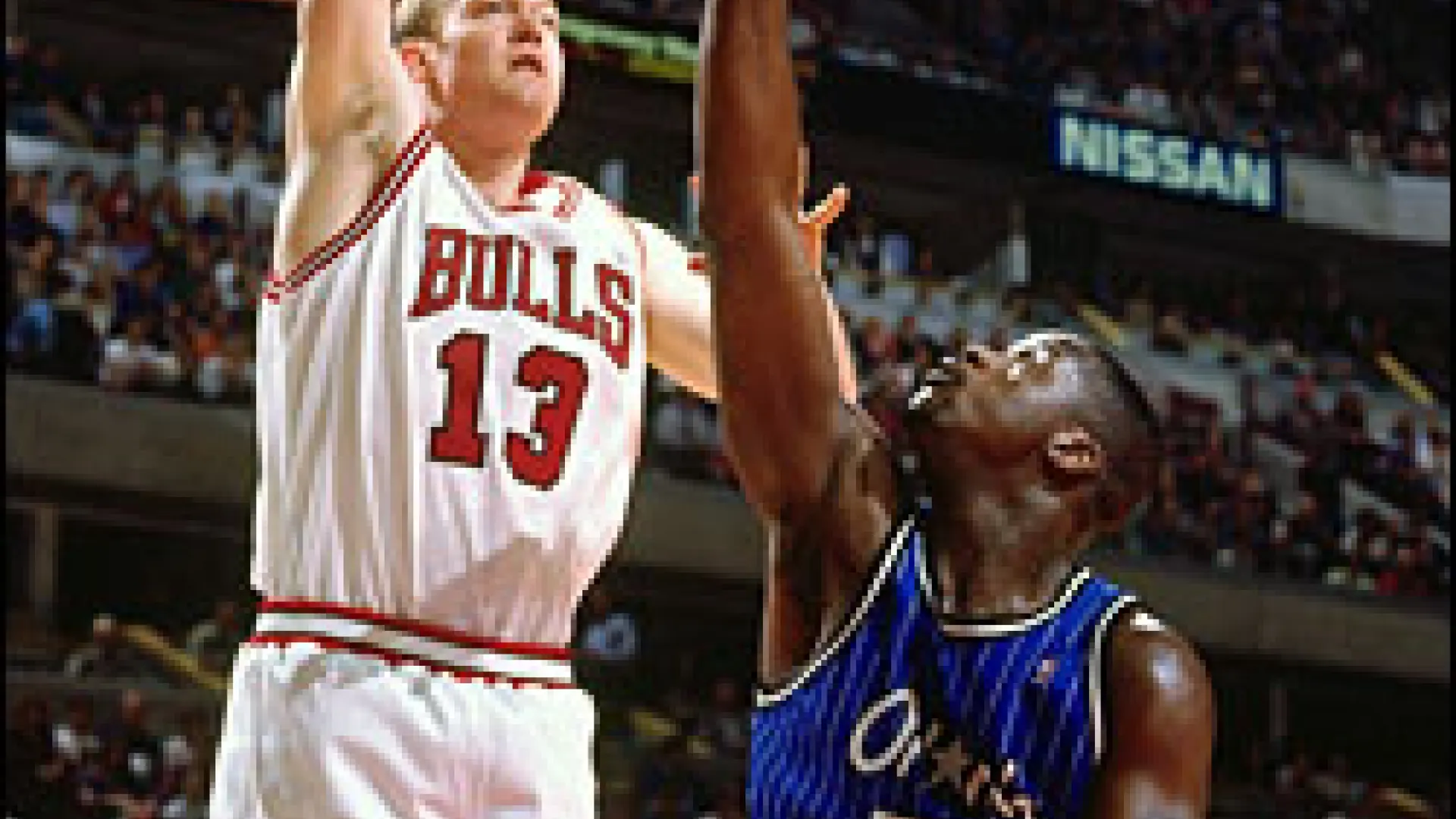 Qué fue de... 'Luc' Longley (por Tim Siglo XXI)