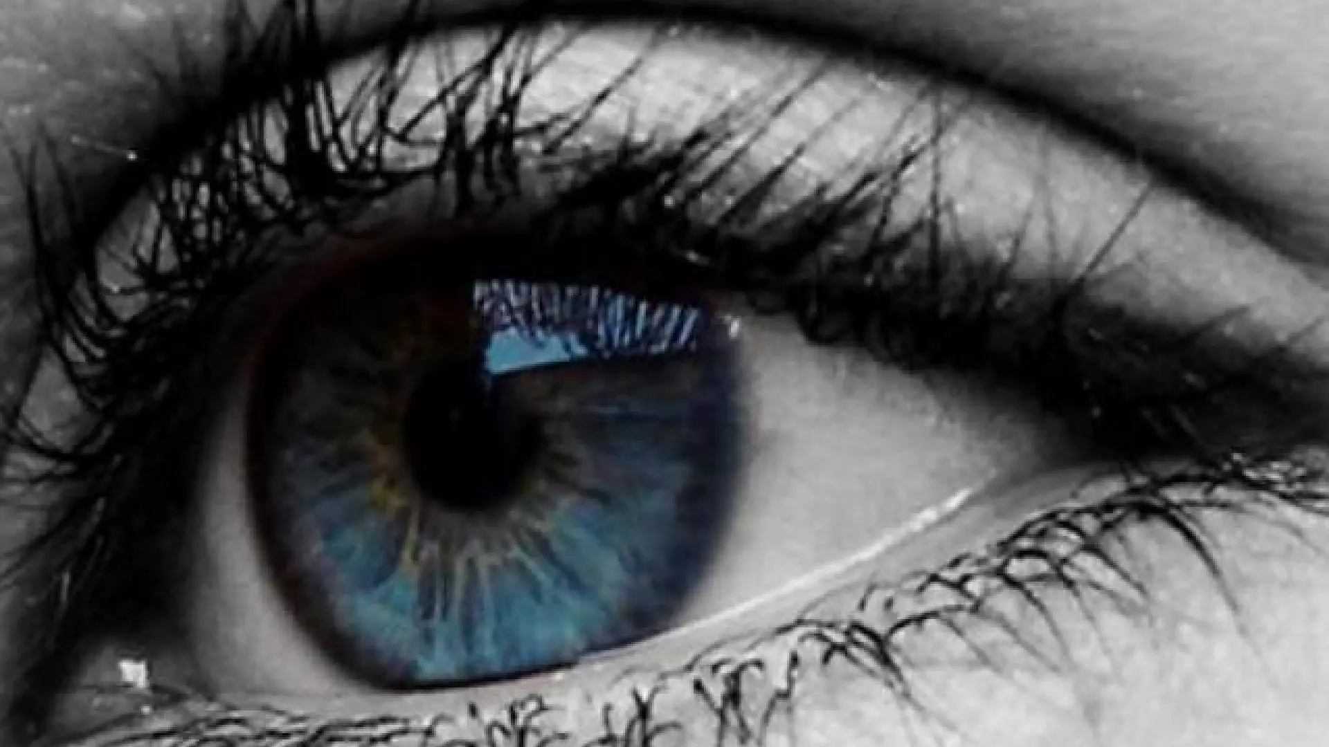 Los orígenes del ojo