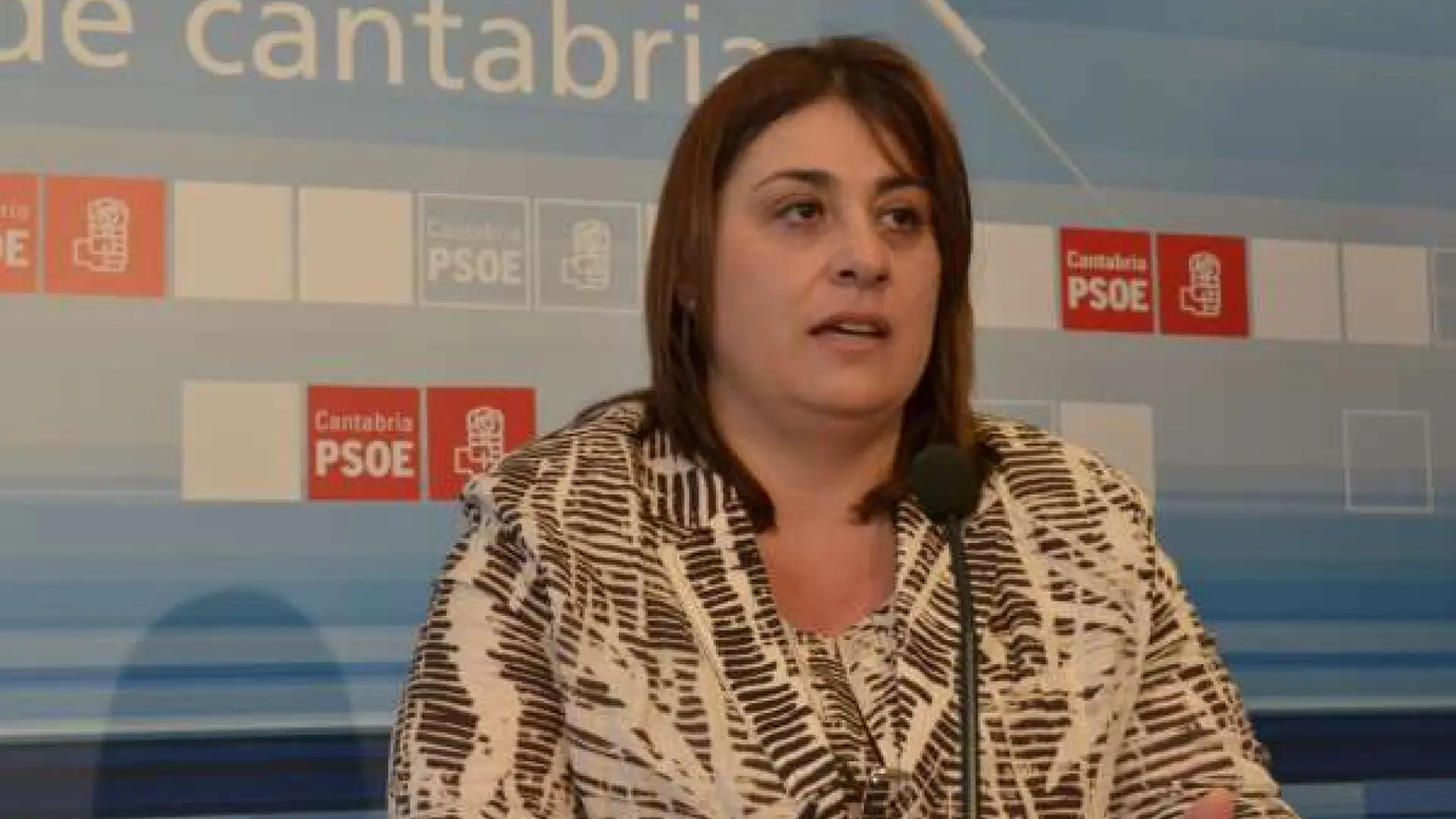 PSOE ve las asesorías externas como un "subterfugio" del alcalde para ...