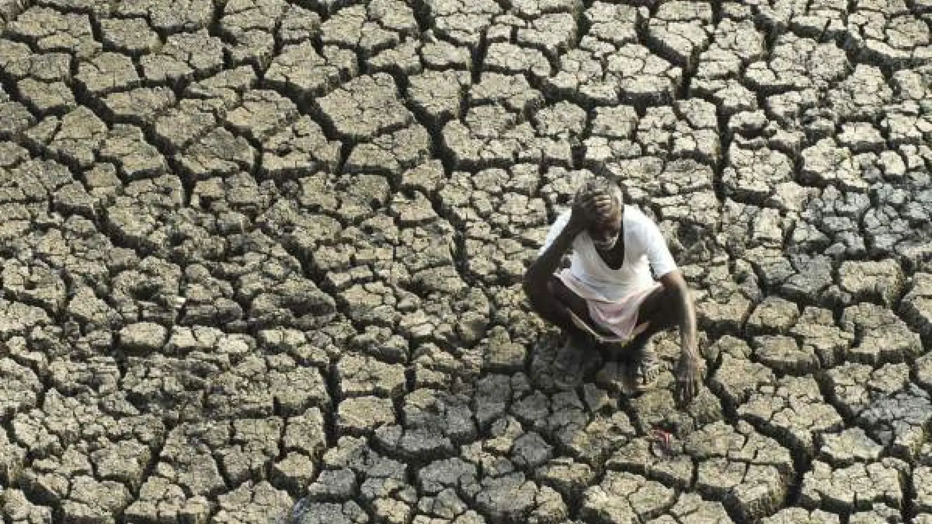 La OMS propone como objetivo del Milenio para 2030 no defecar al aire libre