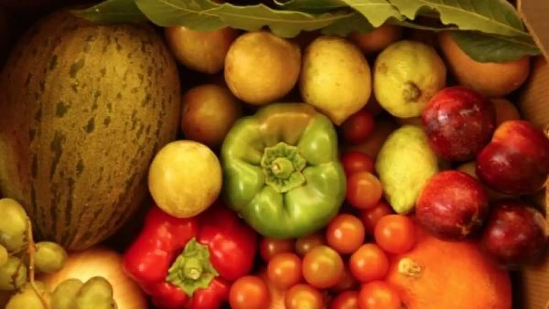 Confirman que los alimentos ecológicos son más saludables